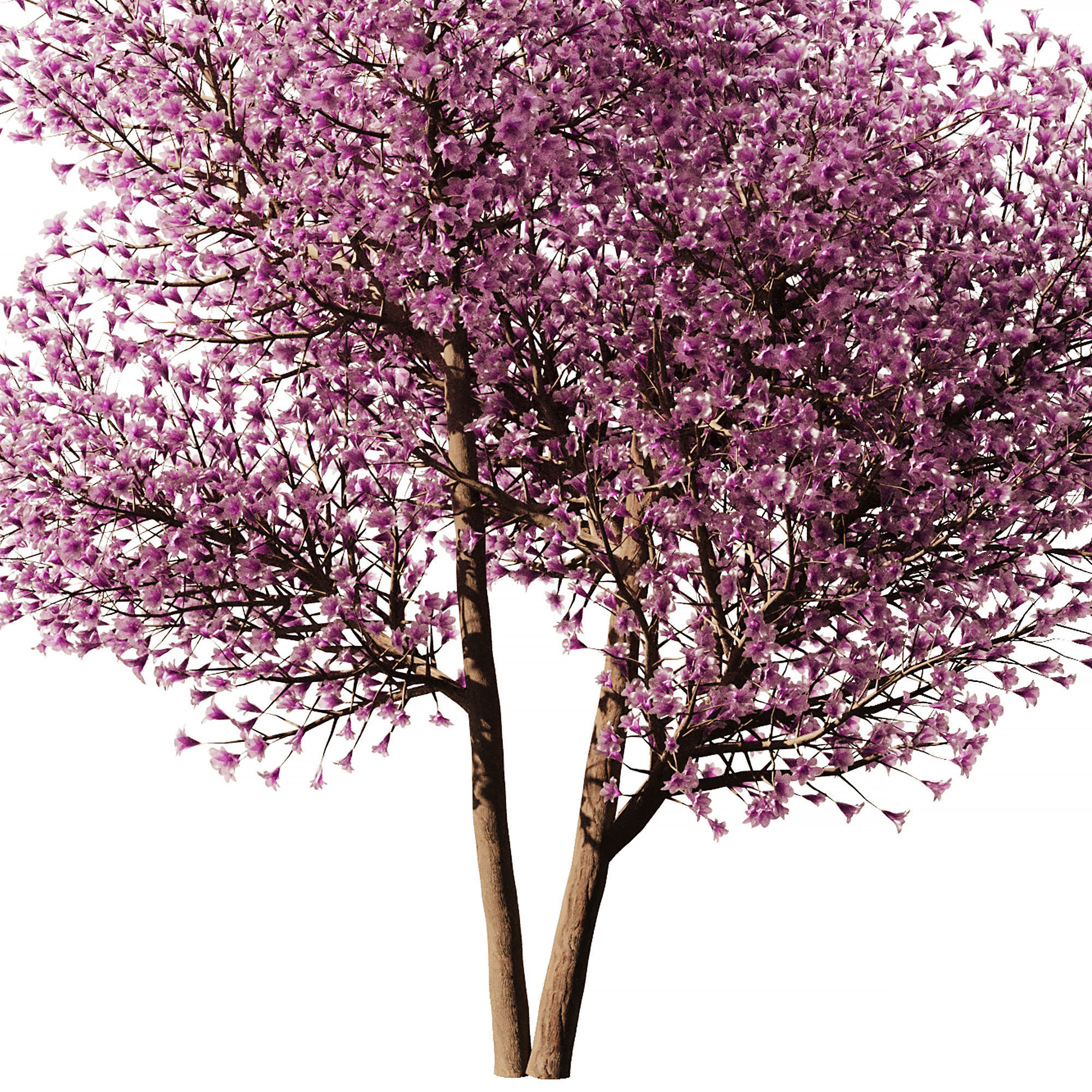 Spring Tree SetV1 3D model | CGTrader