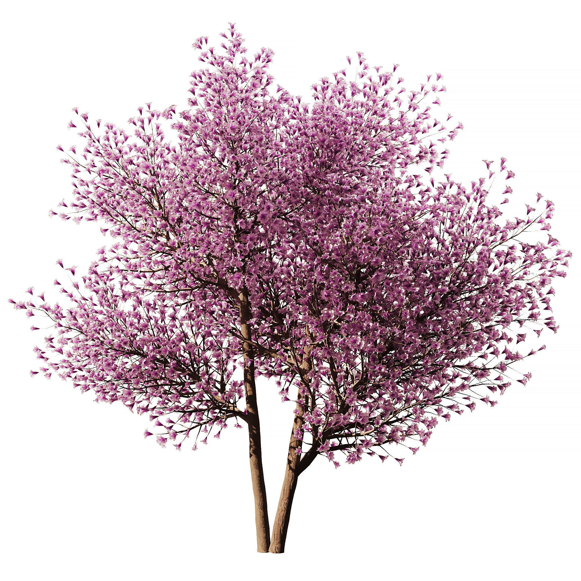 Spring Tree SetV1 3D model | CGTrader