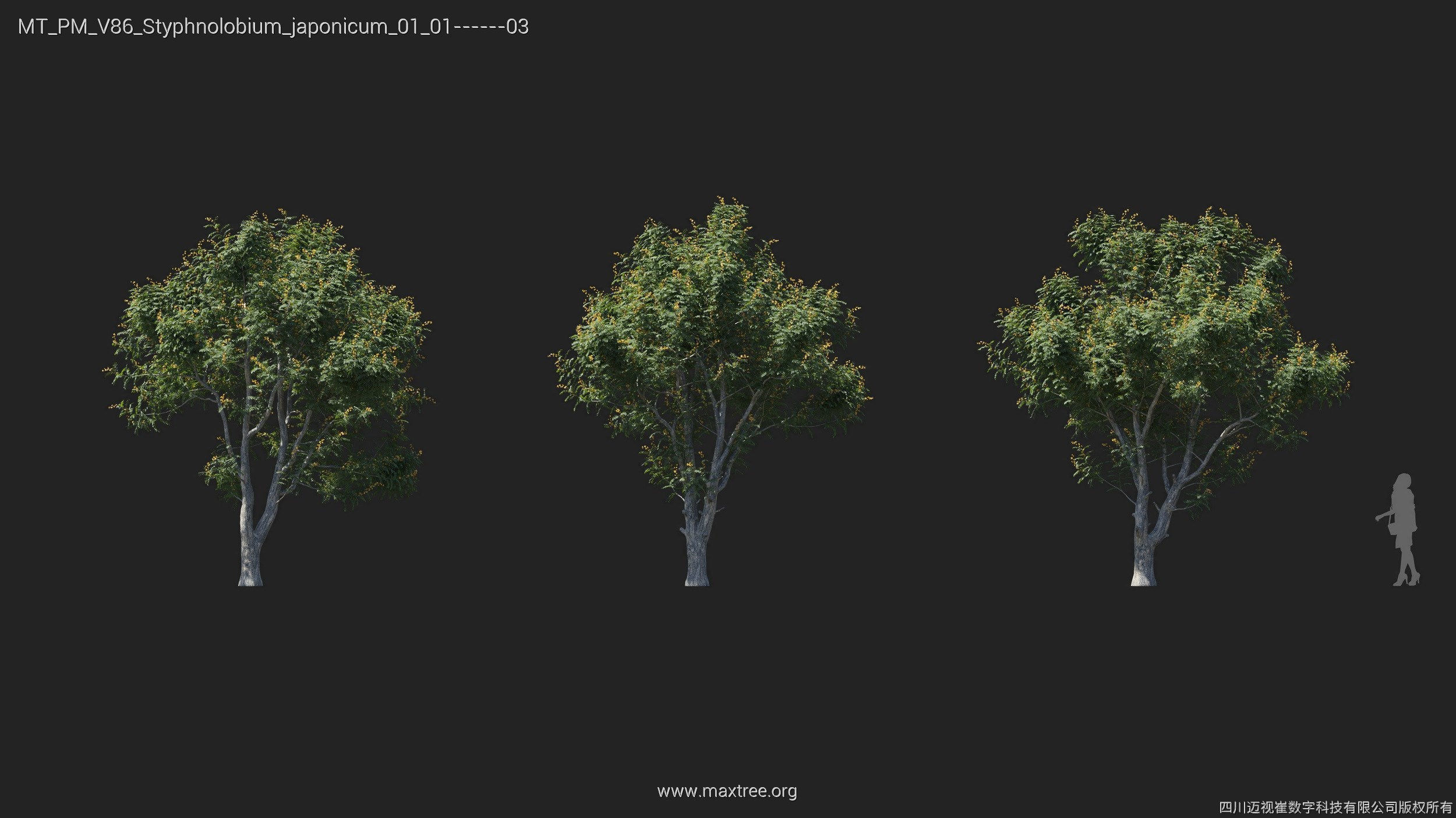 Maxtree Plant Models Vol 86 - Mesh 3D model | CGTrader