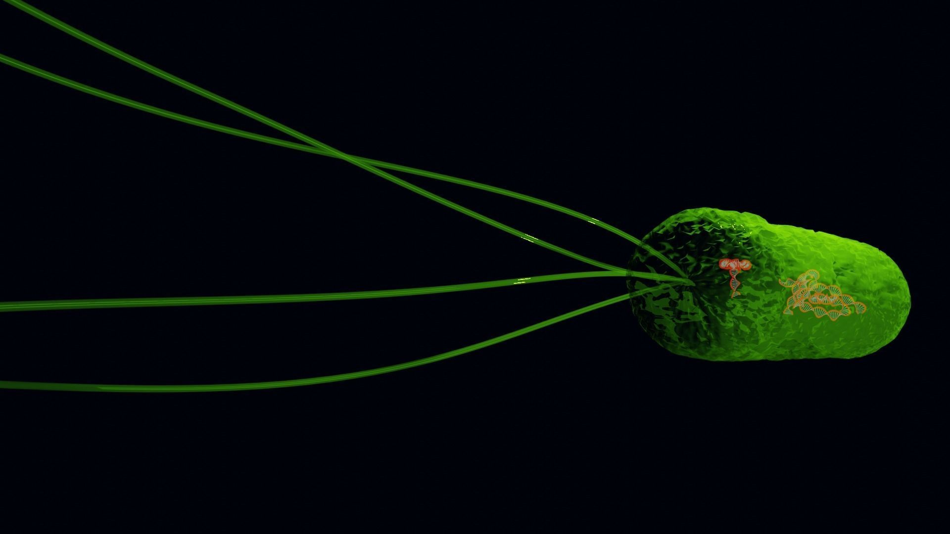 3D model helix dna label bacteria flagella bacilli VR / AR / low-poly ...
