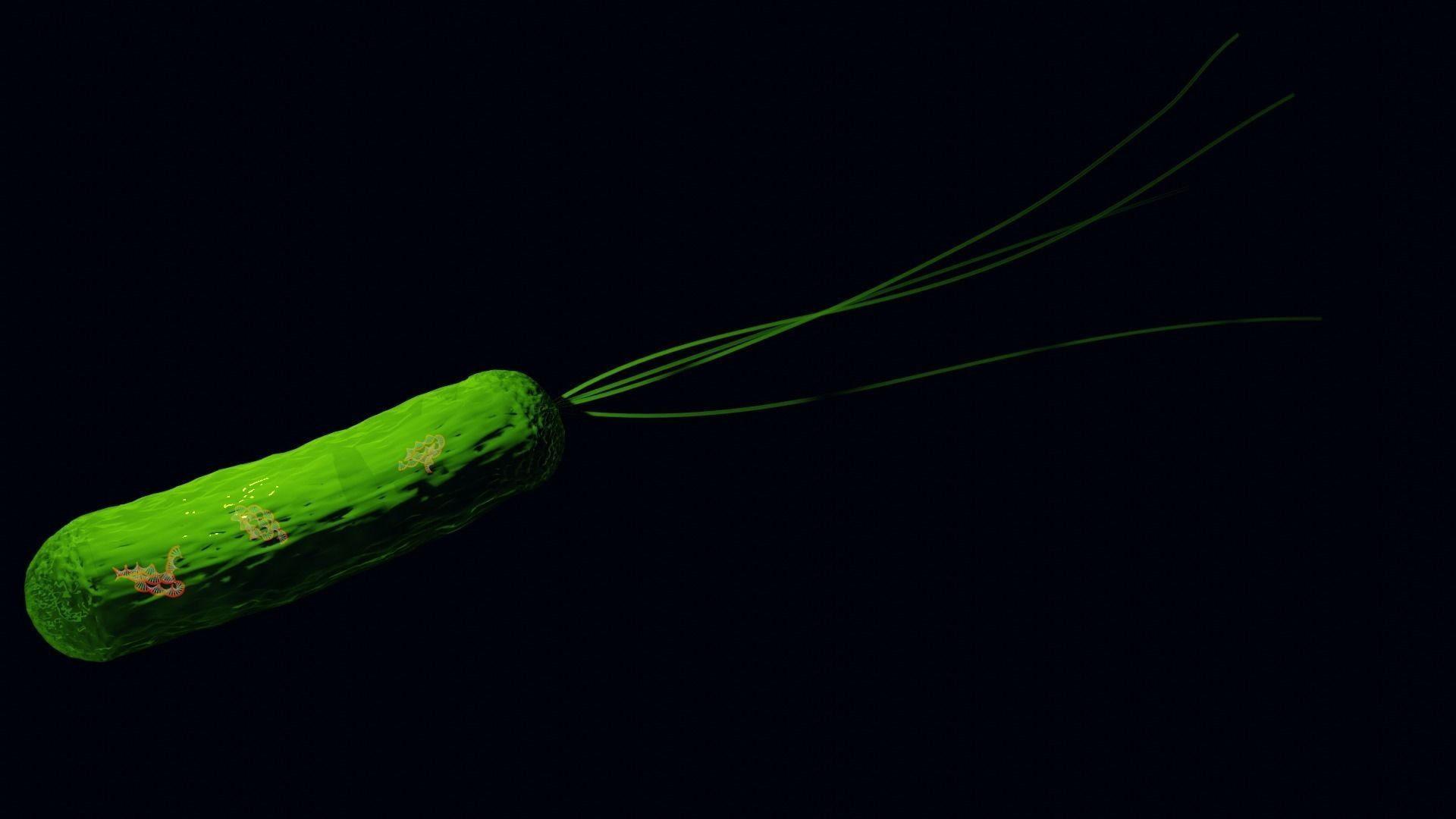 3D model helix dna label bacteria flagella bacilli VR / AR / low-poly ...