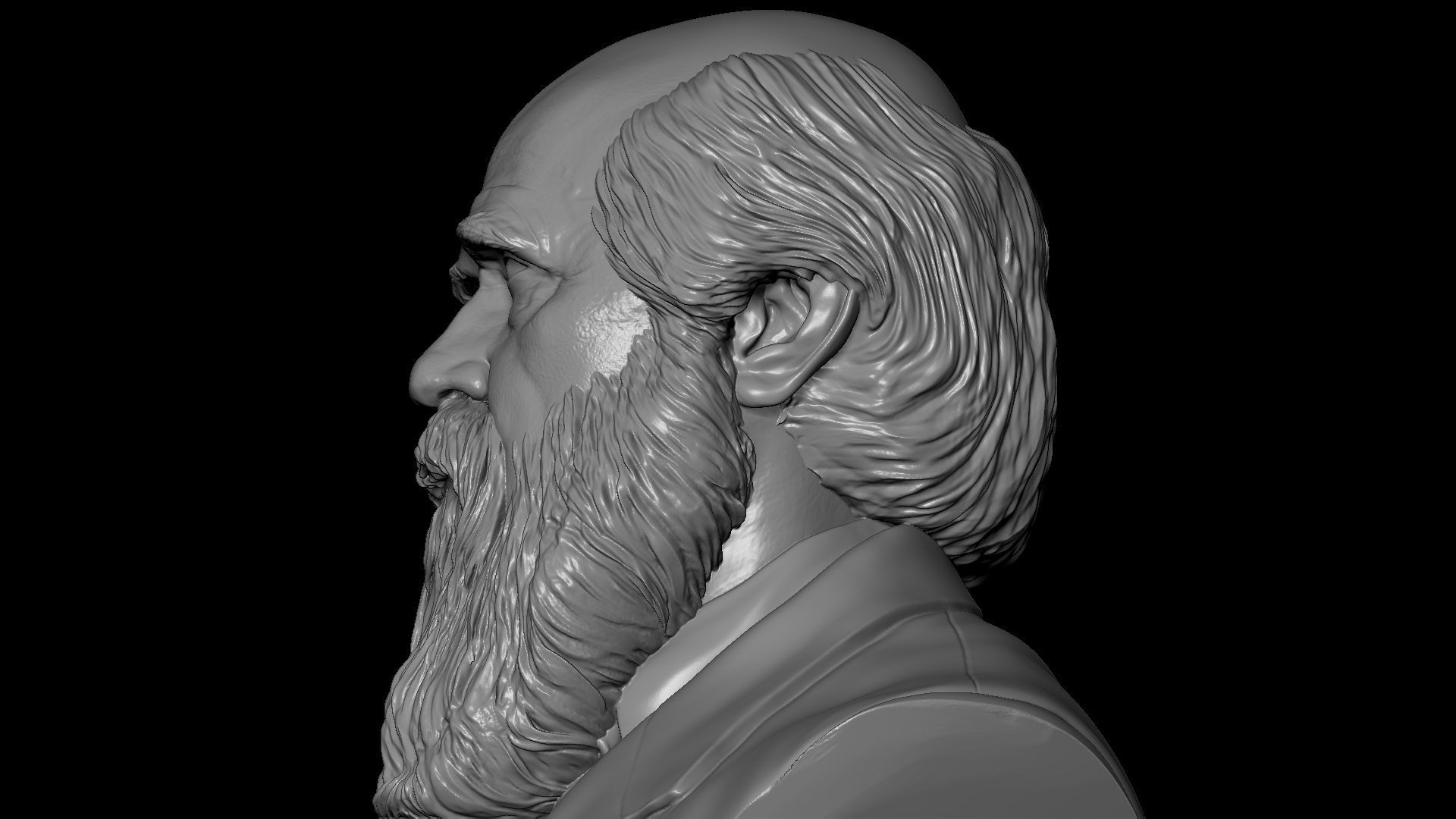 Charles Darwin 3D model 3D printable | CGTrader