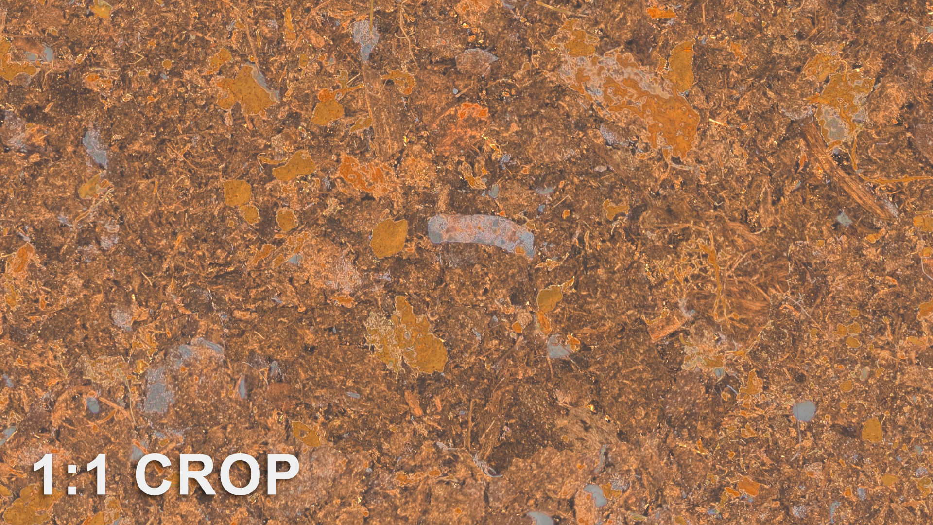 Pot soil Texture | CGTrader