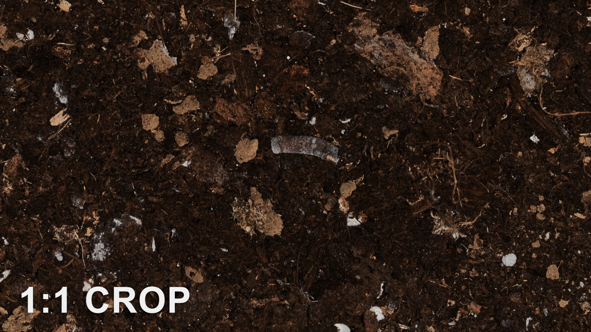 Pot soil Texture | CGTrader