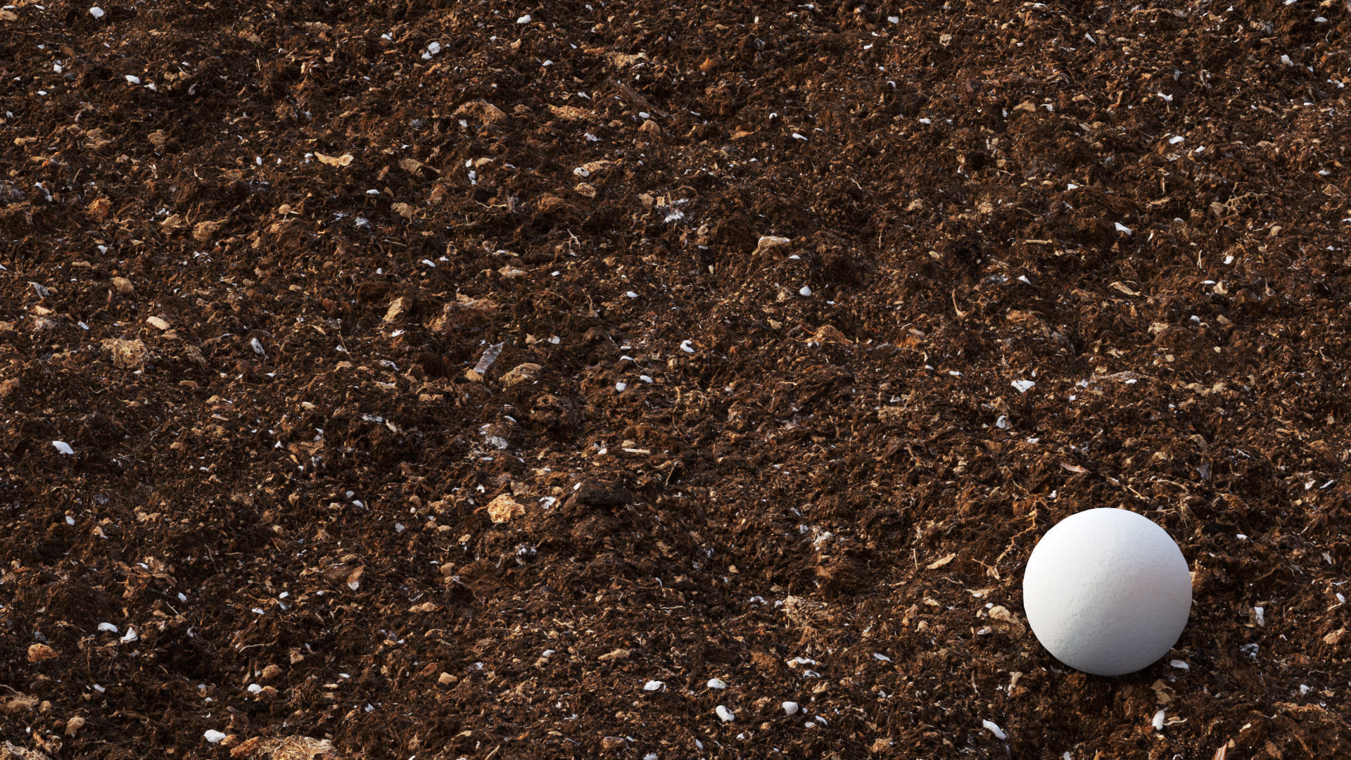 Pot soil Texture | CGTrader