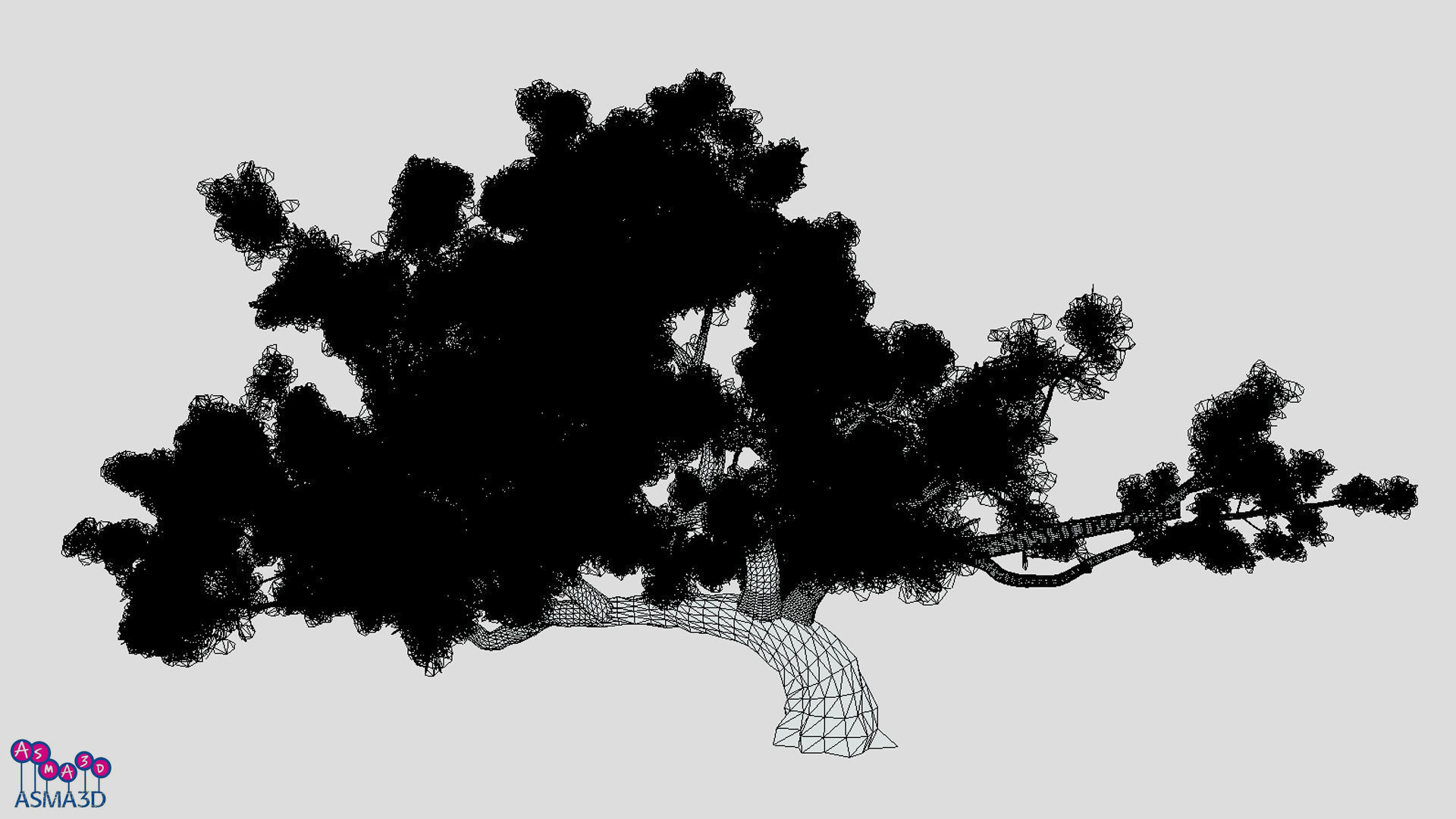 Live Oak Tree Rev 1 3d Model Cgtrader