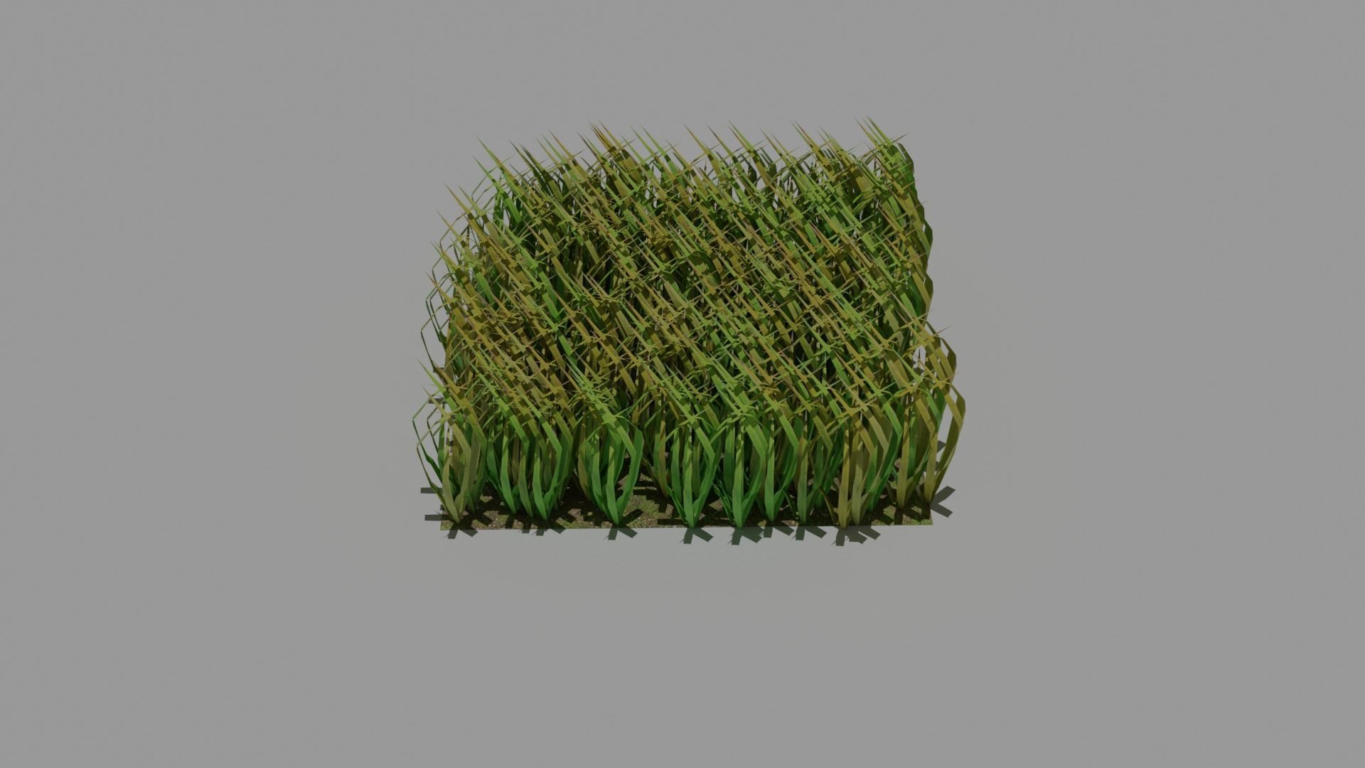 3D model Grass pack Low-poly 3D model VR / AR / low-poly | CGTrader
