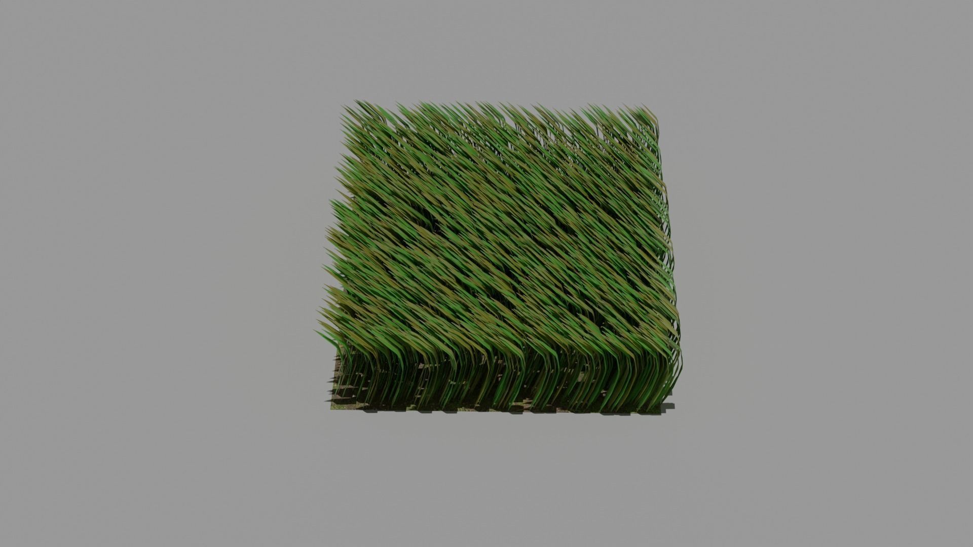 3D model Grass pack Low-poly 3D model VR / AR / low-poly | CGTrader