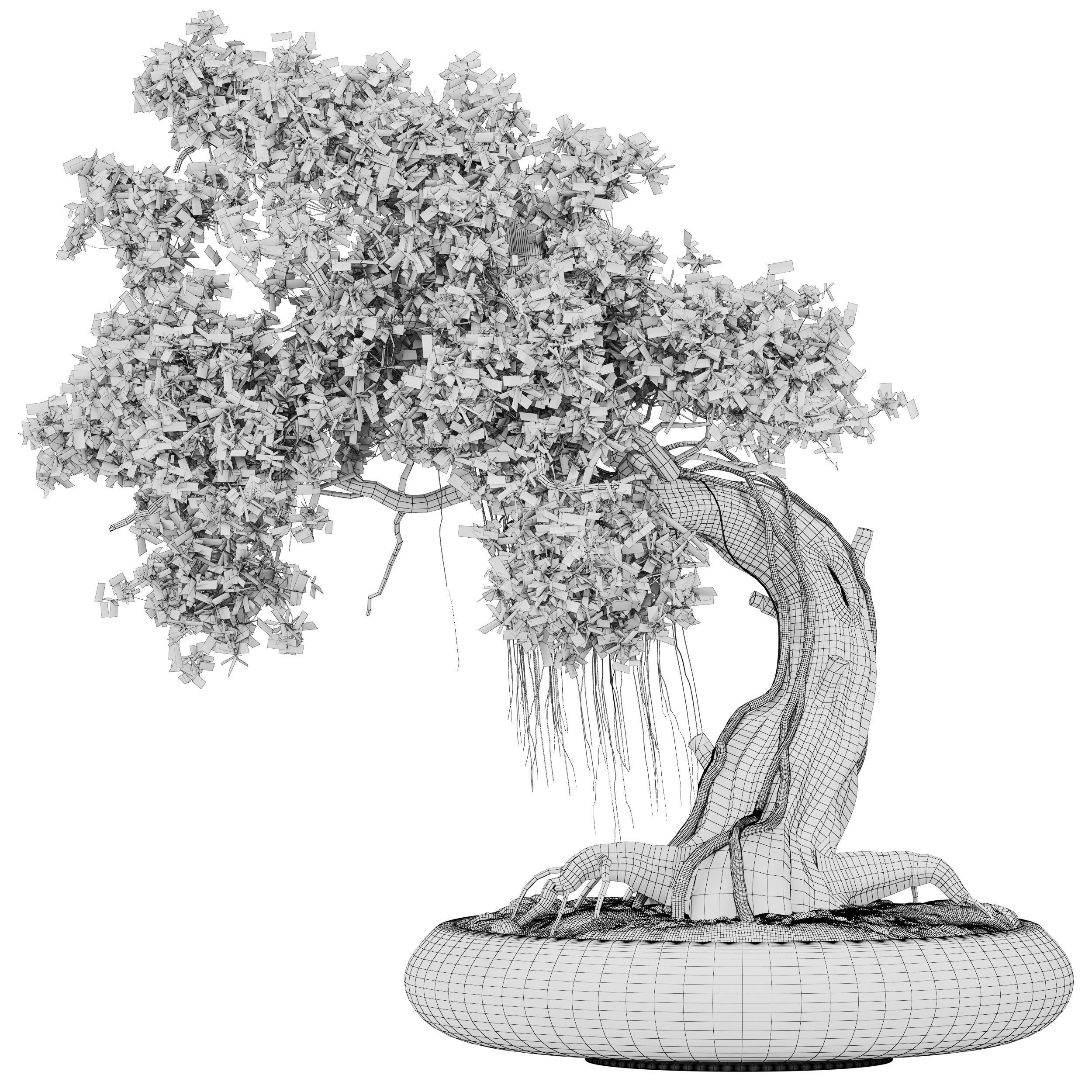 bonsai 06 3D model | CGTrader