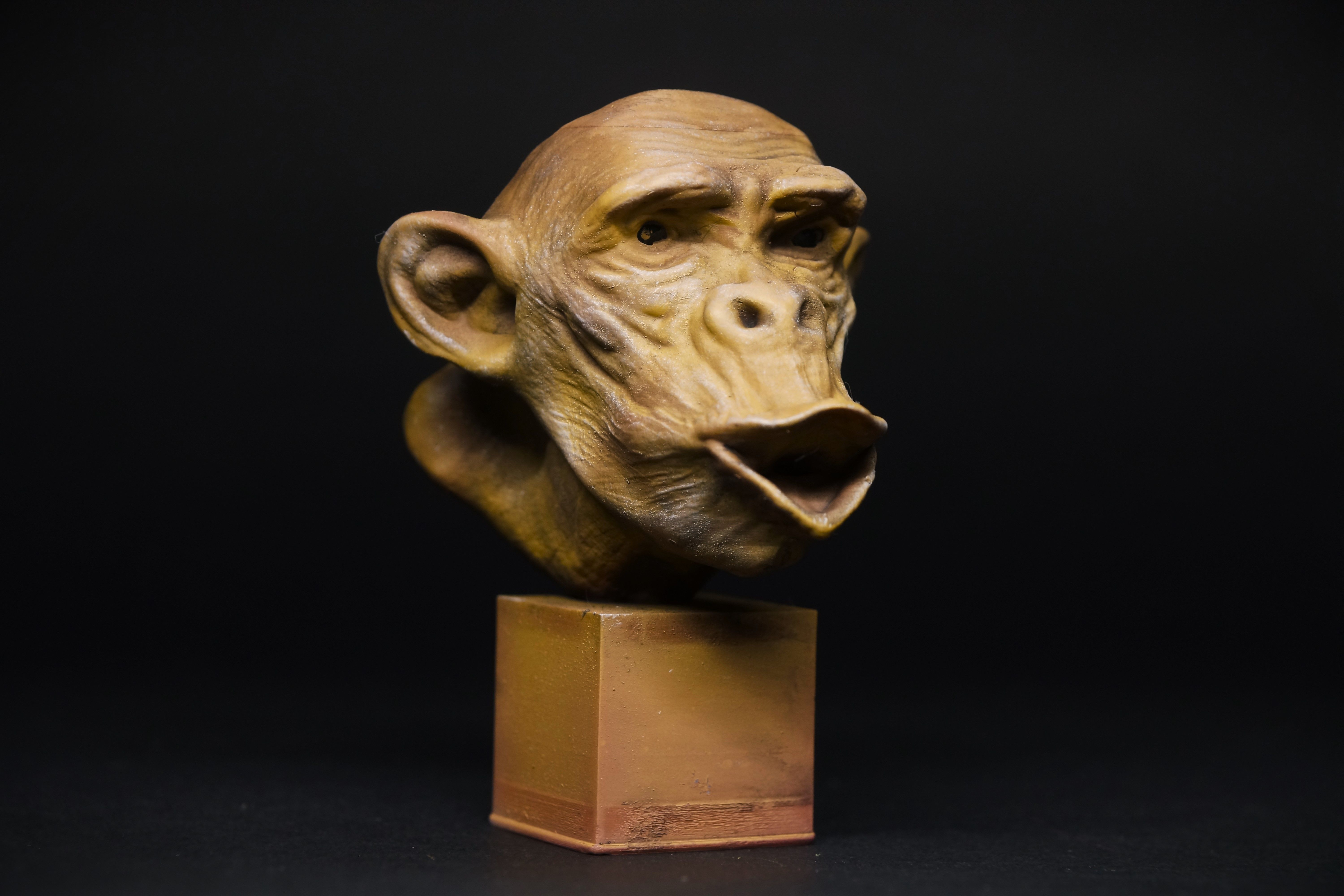 chimpanzee 3D print model 3D model 3D printable | CGTrader