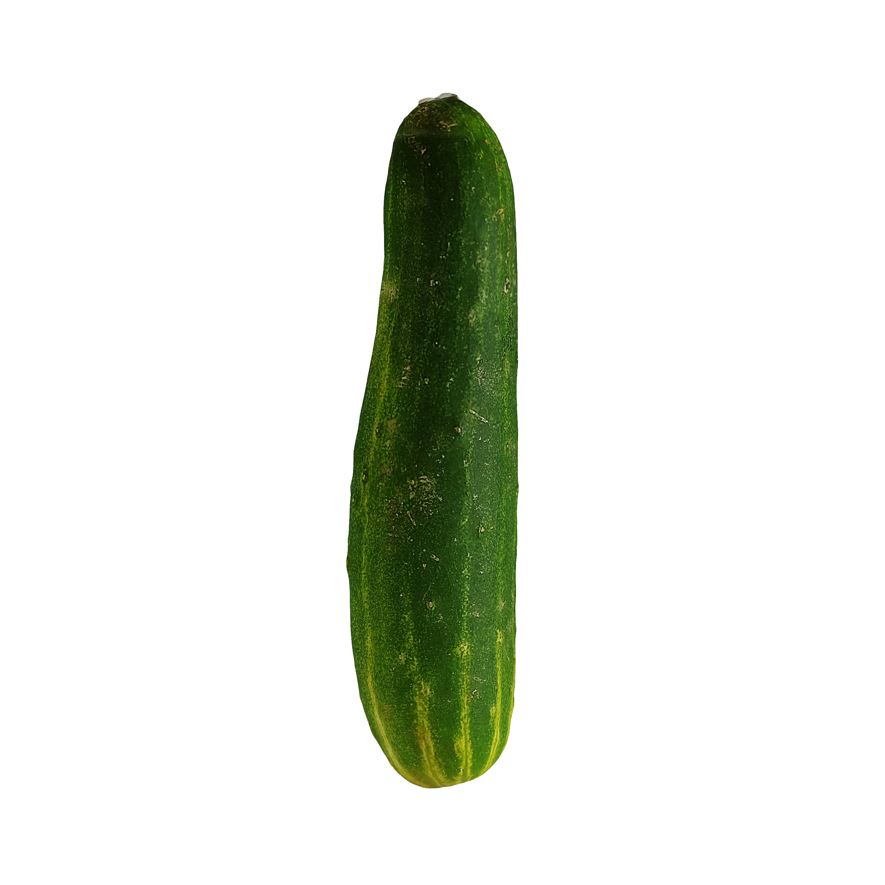 Cucumber - Photogrammetry 3D model | CGTrader
