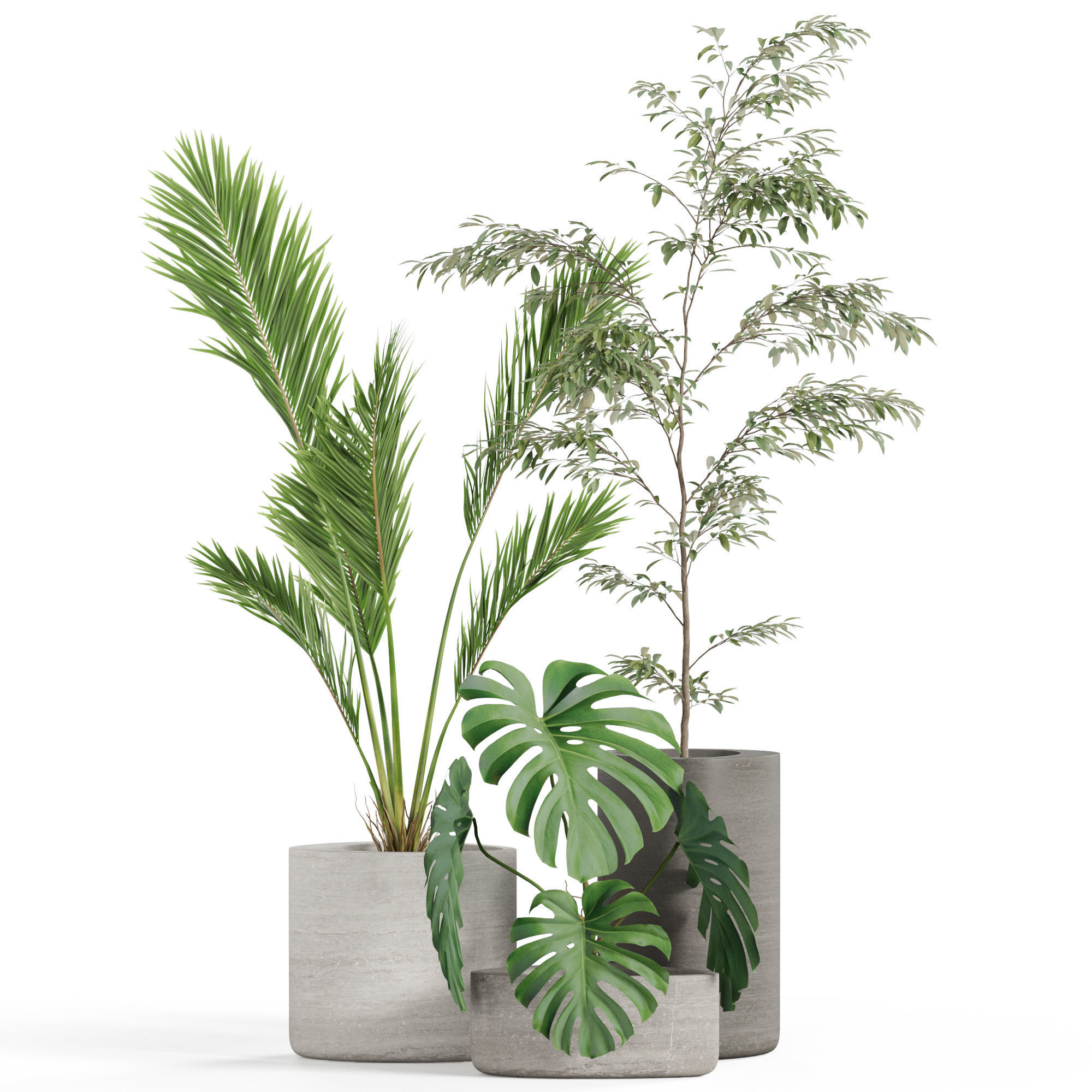 Plants collection 932 3D model | CGTrader