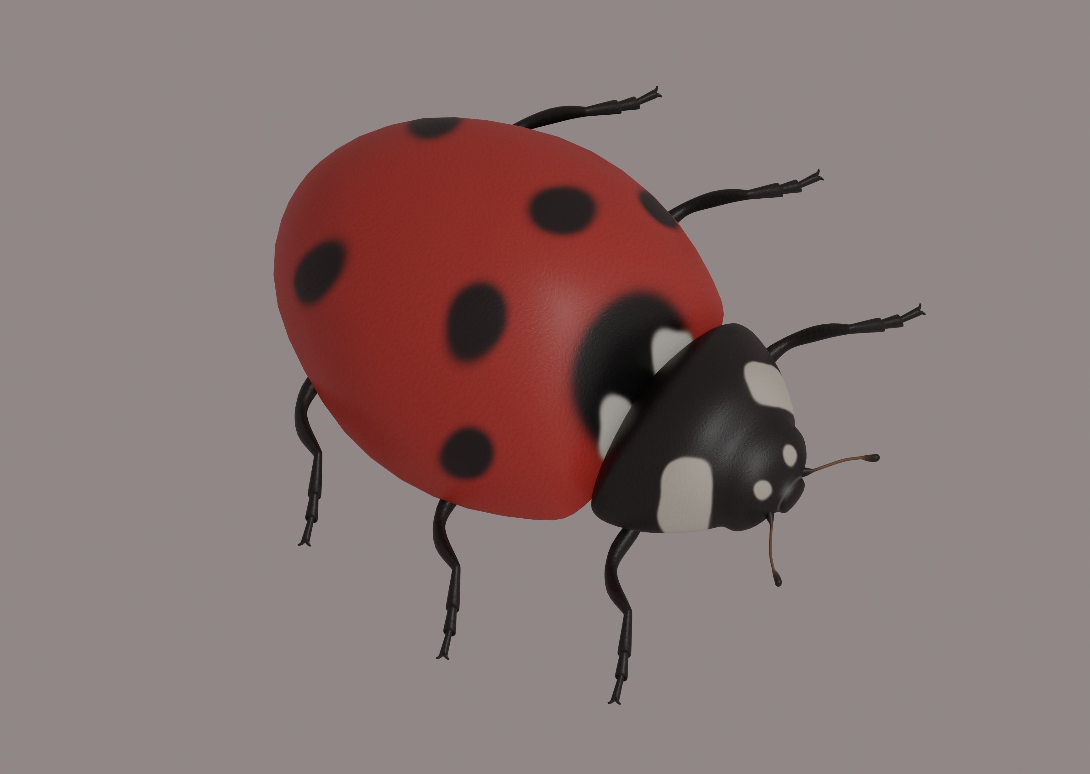 Ladybug 3D model rigged | CGTrader