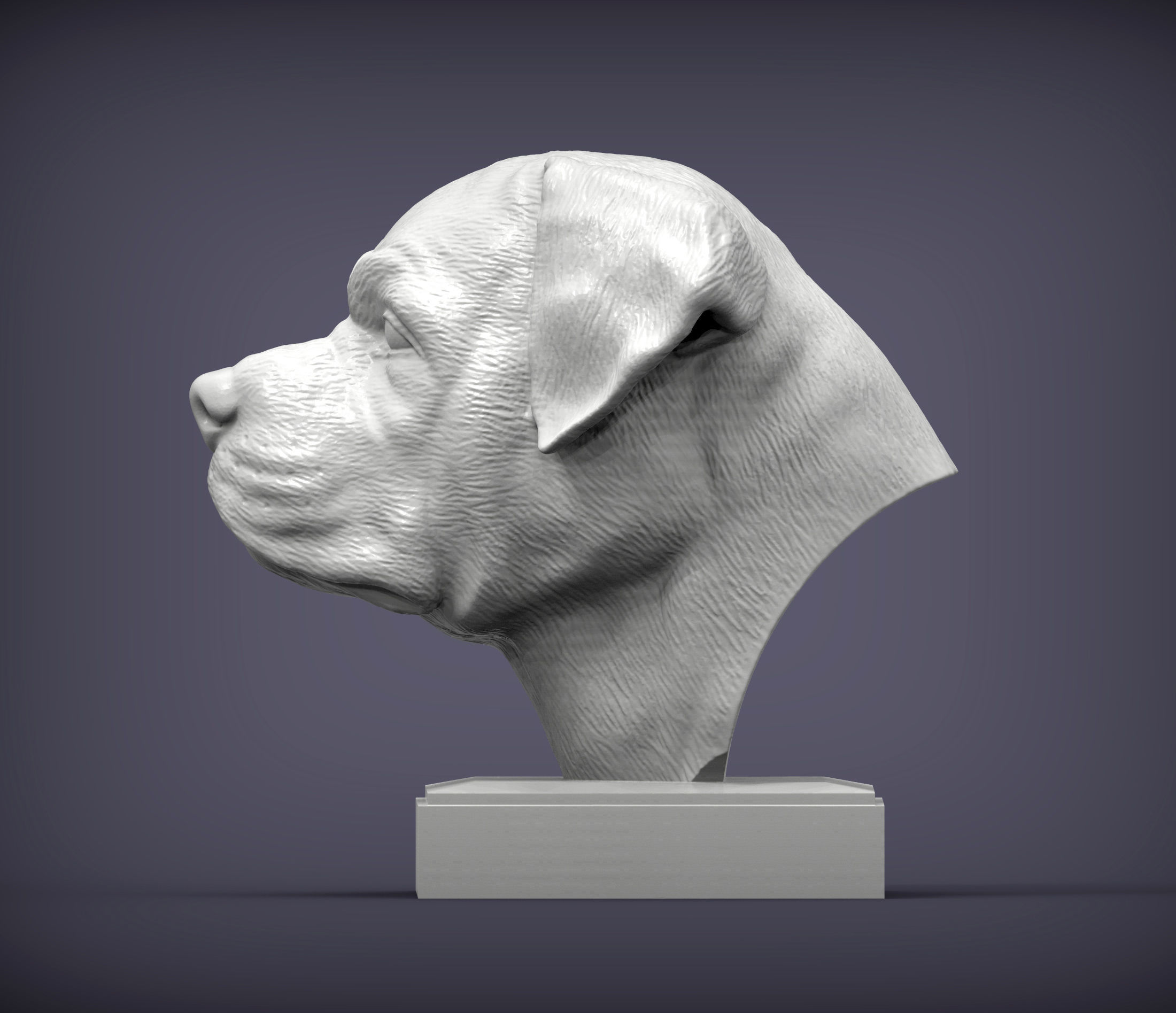 rottweiler 3D print model 3D model 3D printable | CGTrader