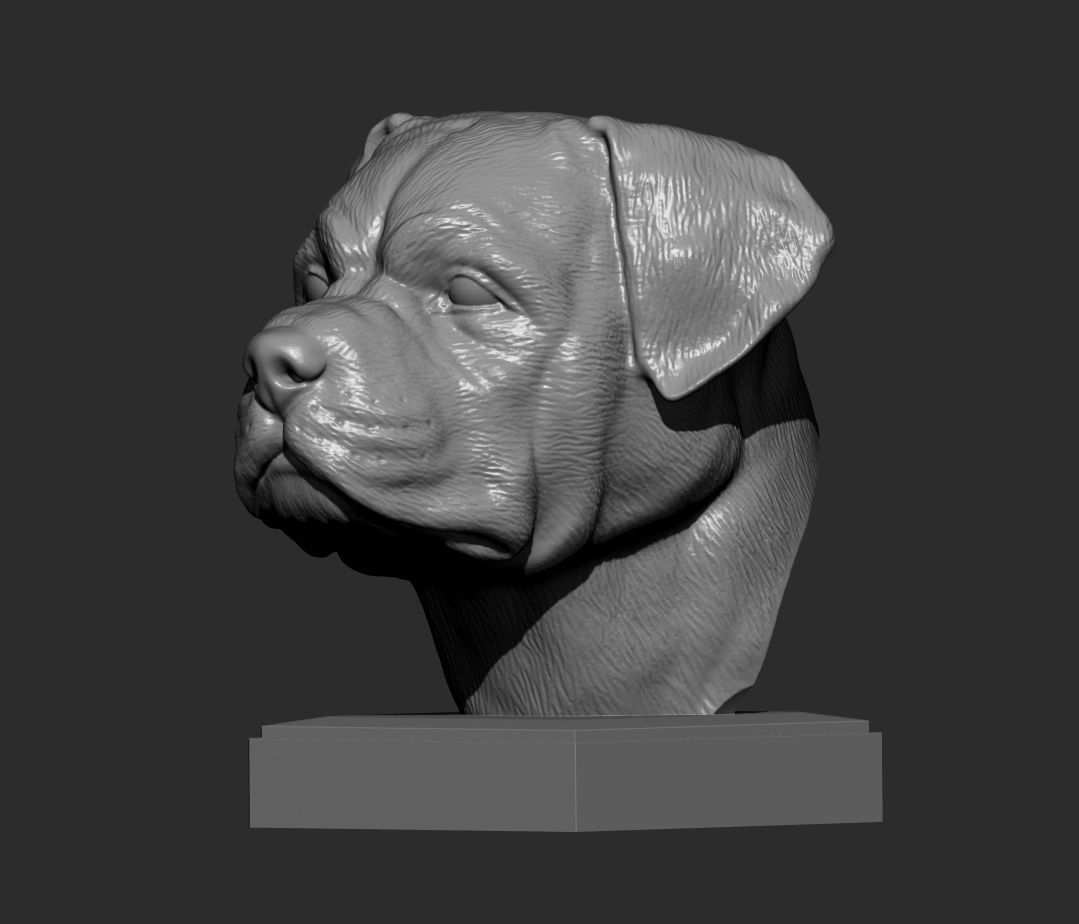 rottweiler 3D print model 3D model 3D printable | CGTrader