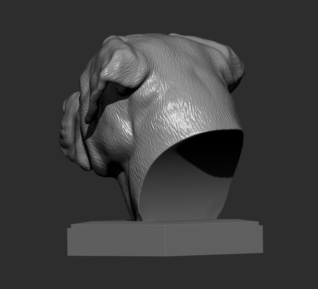 rottweiler 3D print model 3D model 3D printable | CGTrader