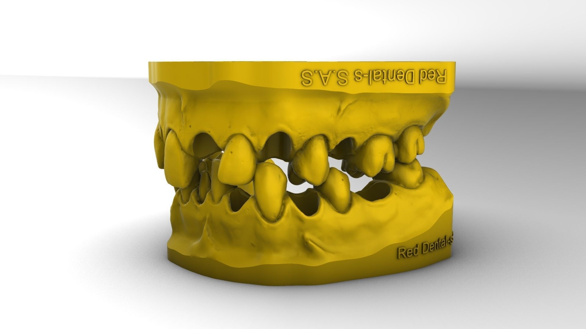 Sandwich model for wax-up practice 3D model 3D printable | CGTrader