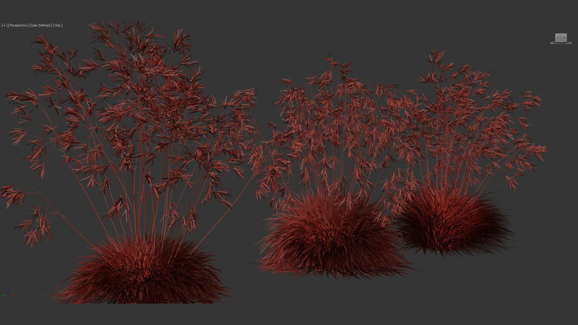 Stipa gigantea Golden oat 3D Model 01 3D model | CGTrader