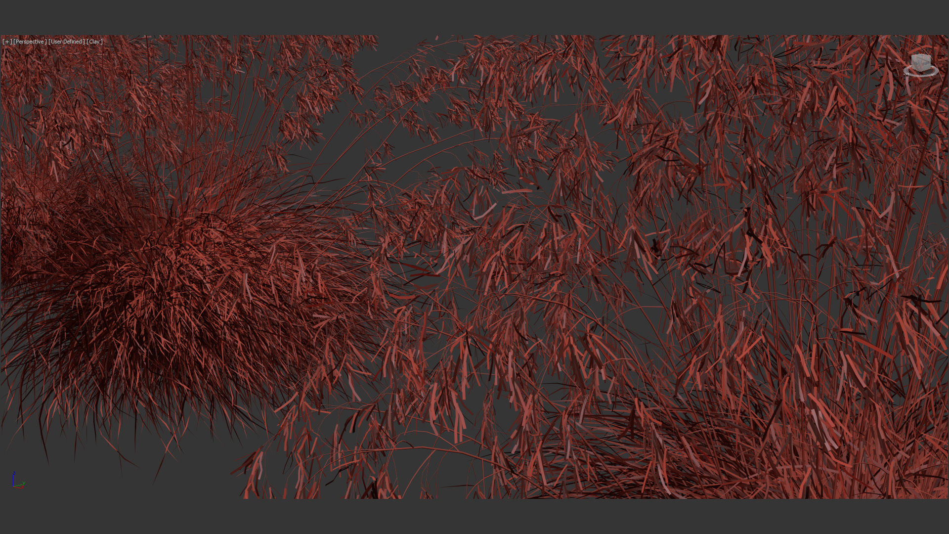 Stipa gigantea Golden oat 3D Model 02 3D model | CGTrader