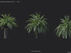 Maxtree Plant Models Vol 94 - Mesh 3D model | CGTrader