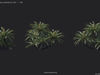 Maxtree Plant Models Vol 94 - Mesh 3D model | CGTrader