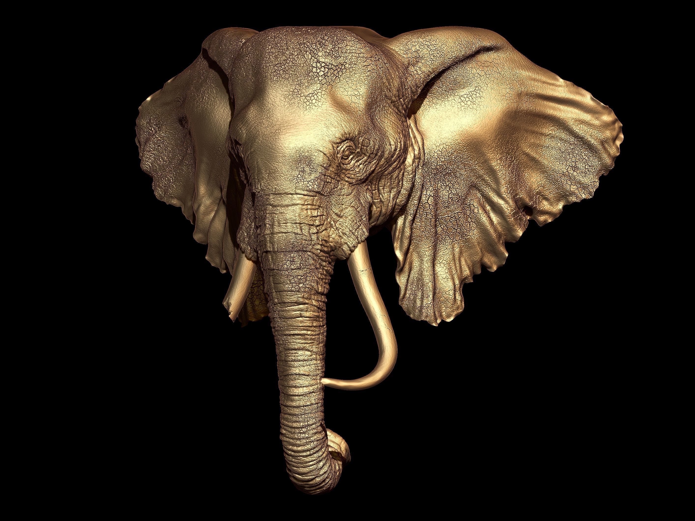 Elephant head 3D model 3D model 3D printable | CGTrader