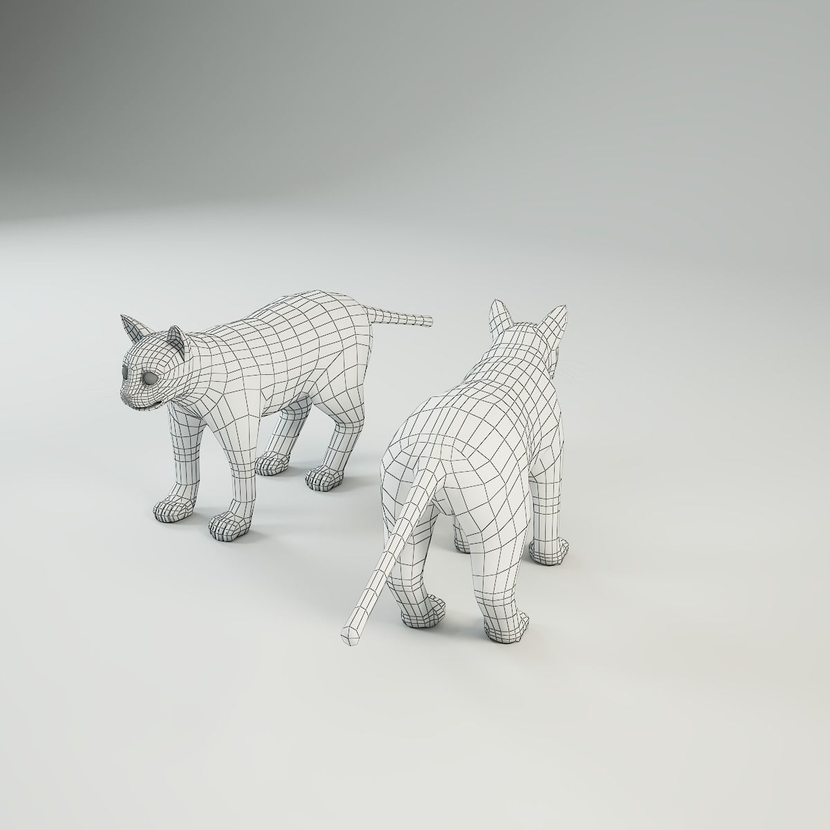 3D realistic cat 3D model | CGTrader