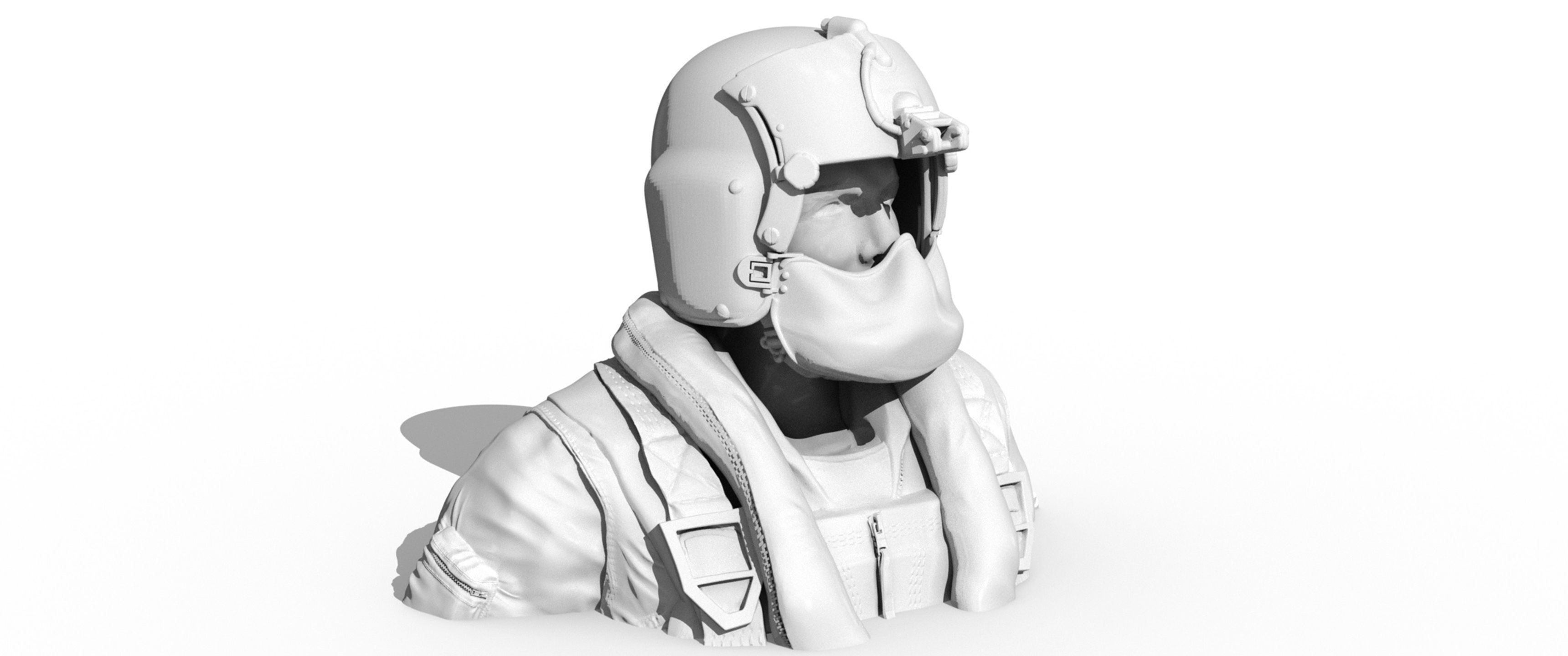 200mm Black Hawk pilot bust 3D model 3D printable | CGTrader