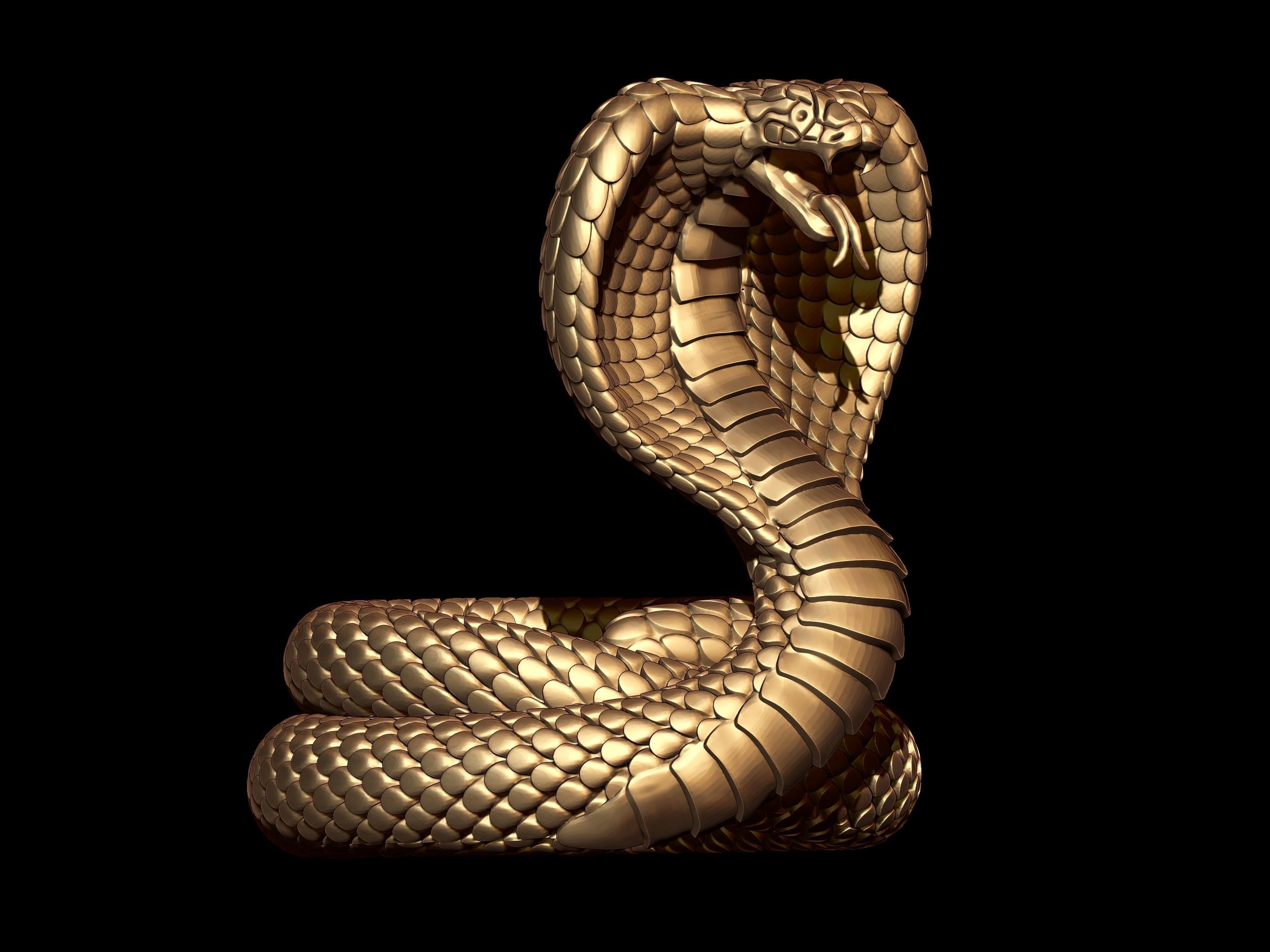 Cobra Snake 3D model 3D printable | CGTrader