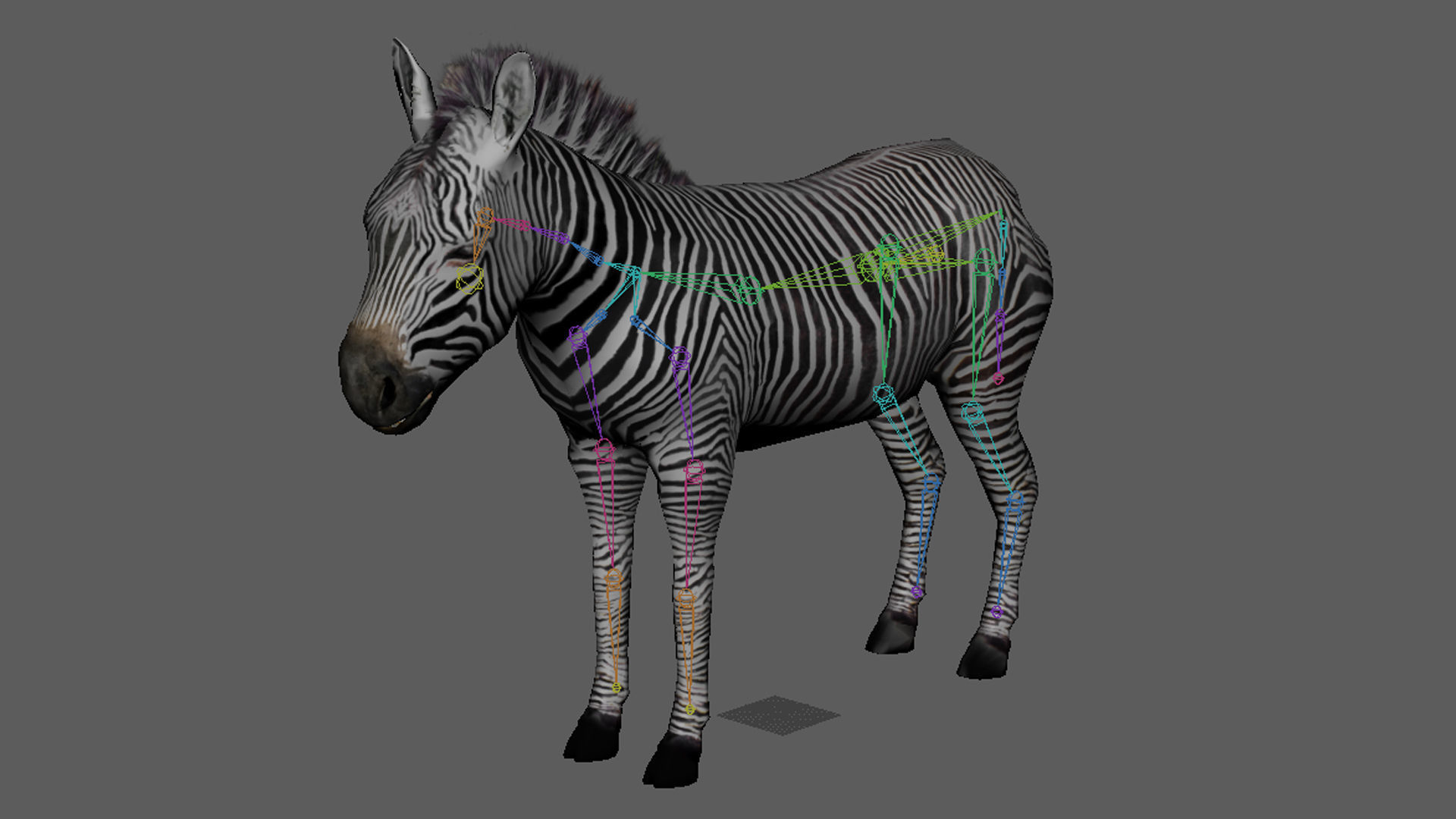 3D model Lowpoly Zebra Animated for VR AR Games VR / AR / low-poly ...