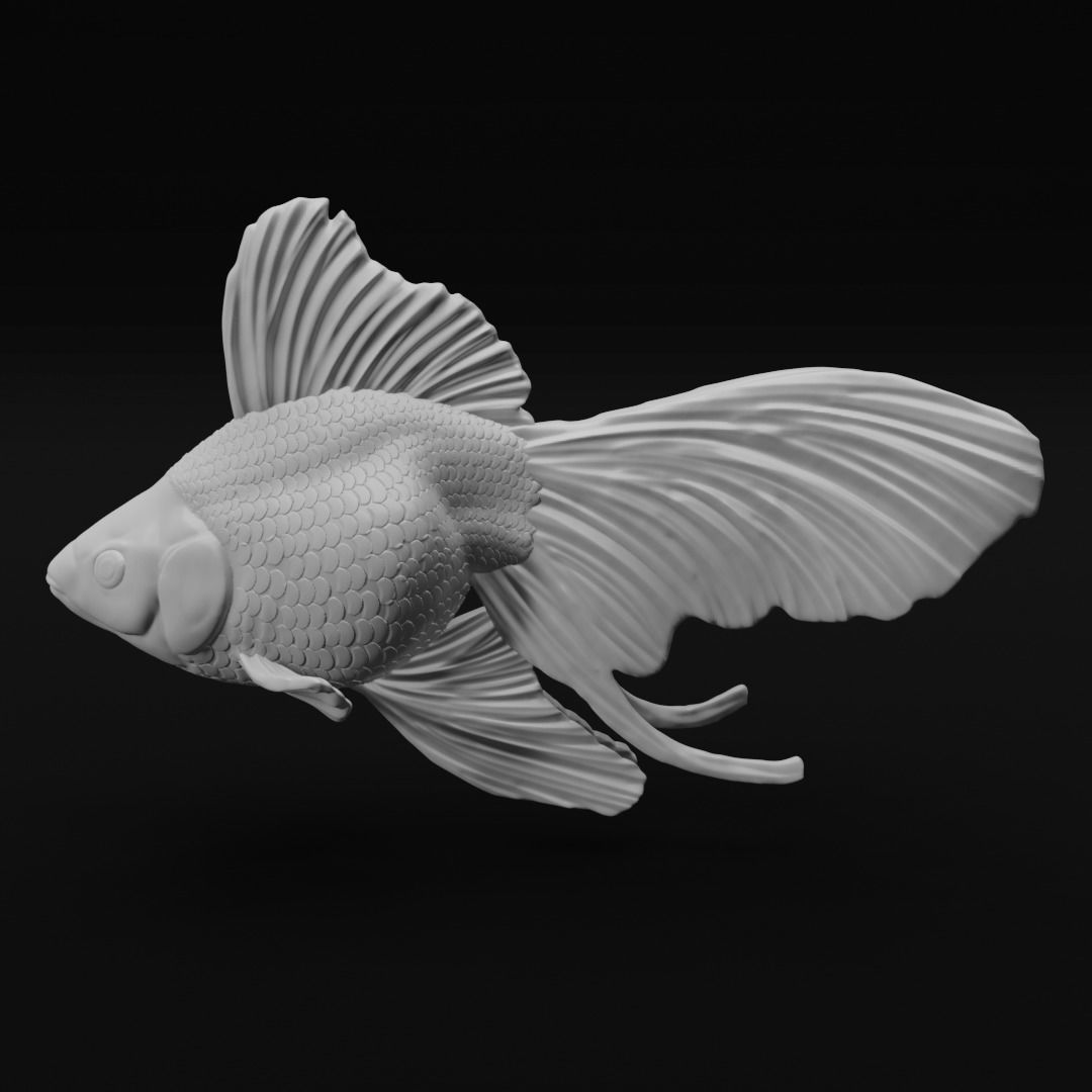 Ryukin Fancy Goldfish - Realistic Fish Pet 3d Print Model 3D model 3D ...