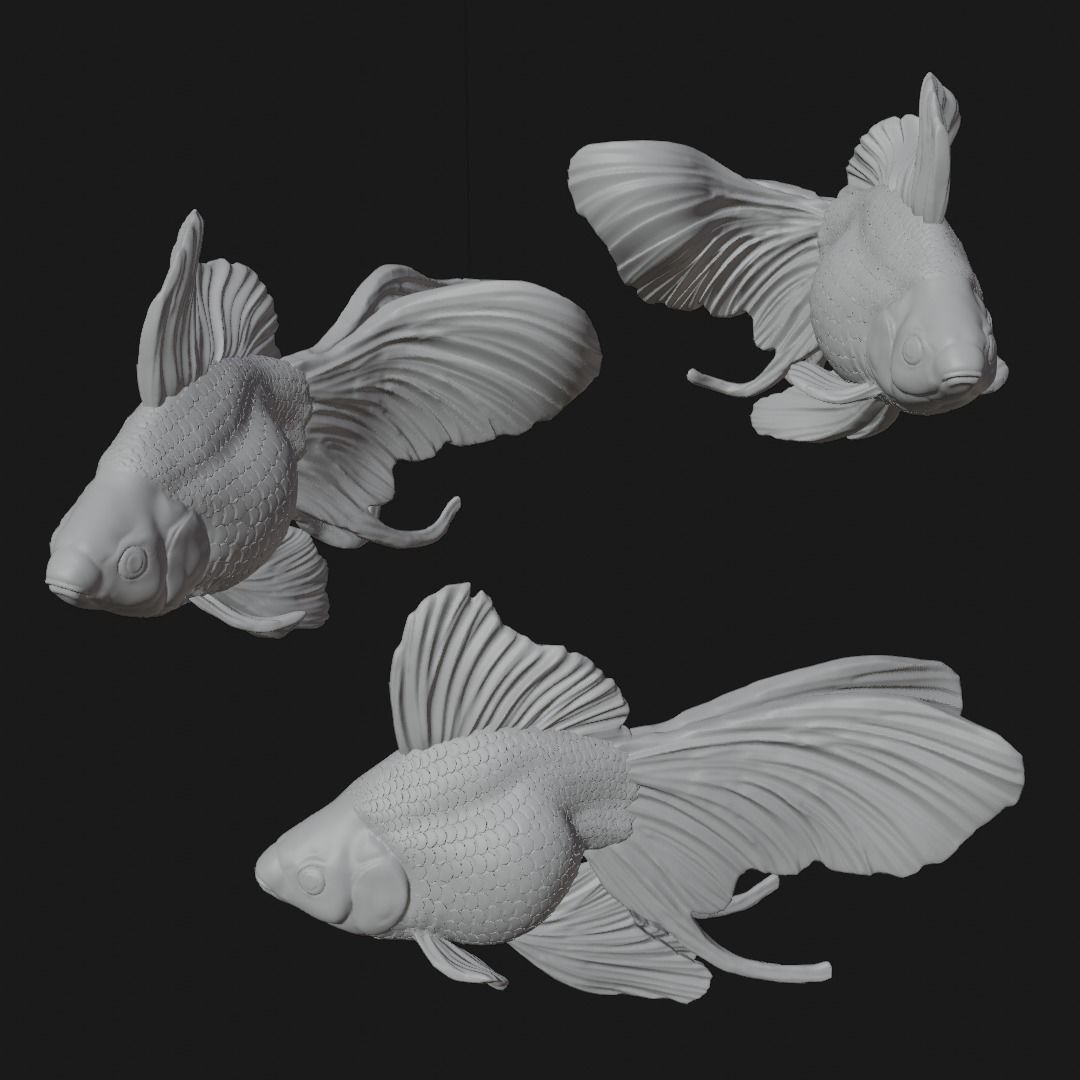 Ryukin Fancy Goldfish - Realistic Fish Pet 3d Print Model 3D model 3D ...