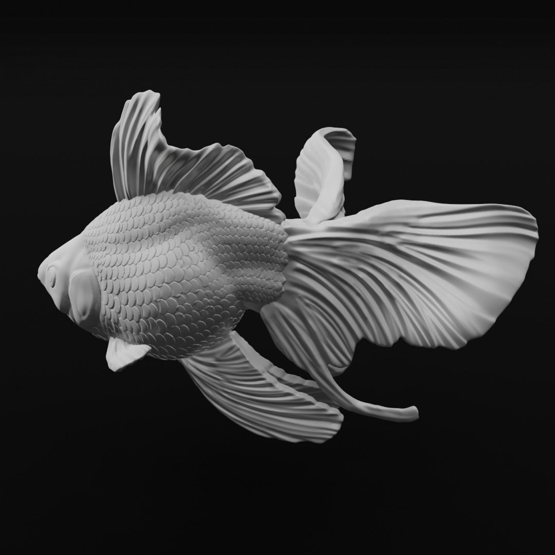 Ryukin Fancy Goldfish - Realistic Fish Pet 3d Print Model 3D model 3D ...