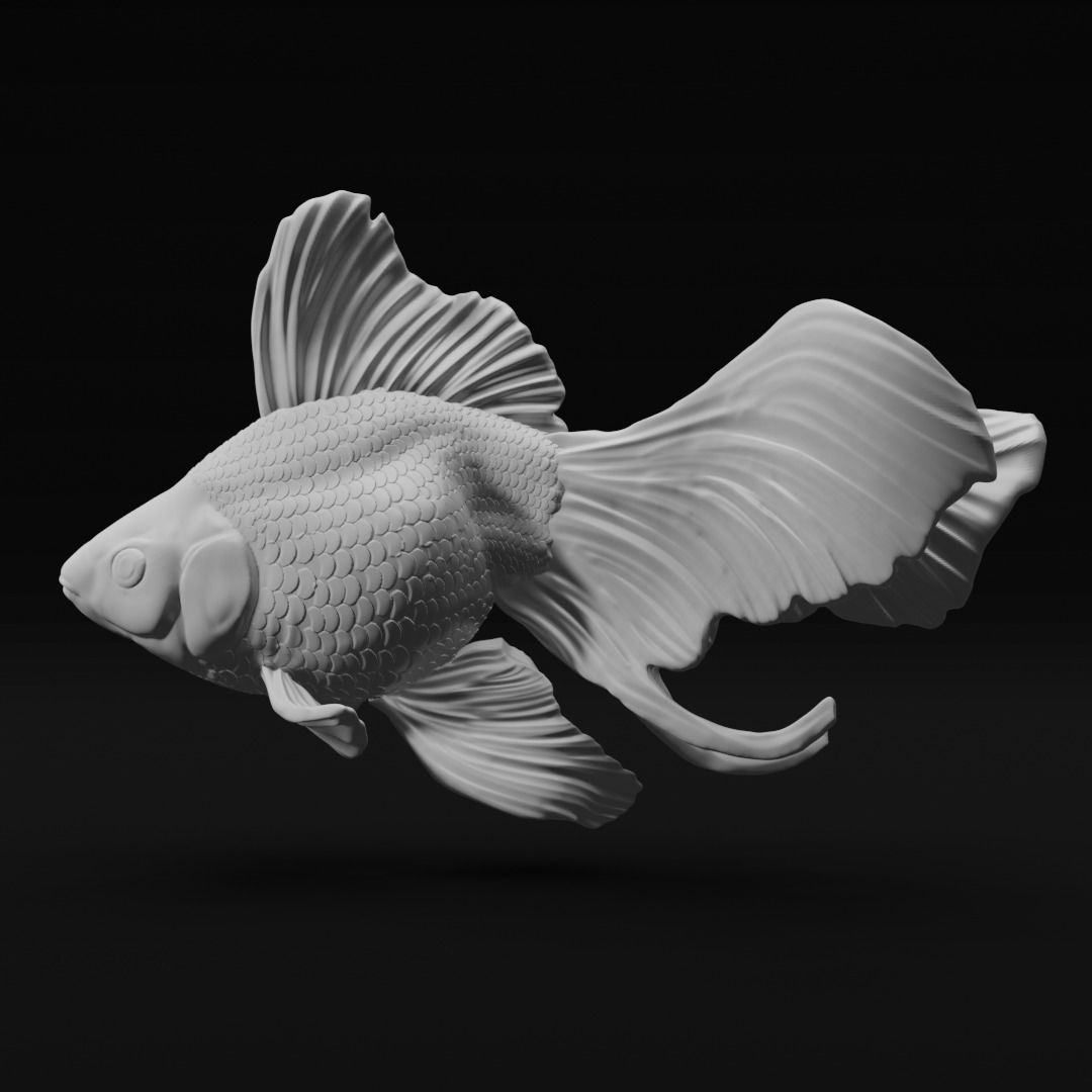 Ryukin Fancy Goldfish - Realistic Fish Pet 3d Print Model 3D model 3D ...