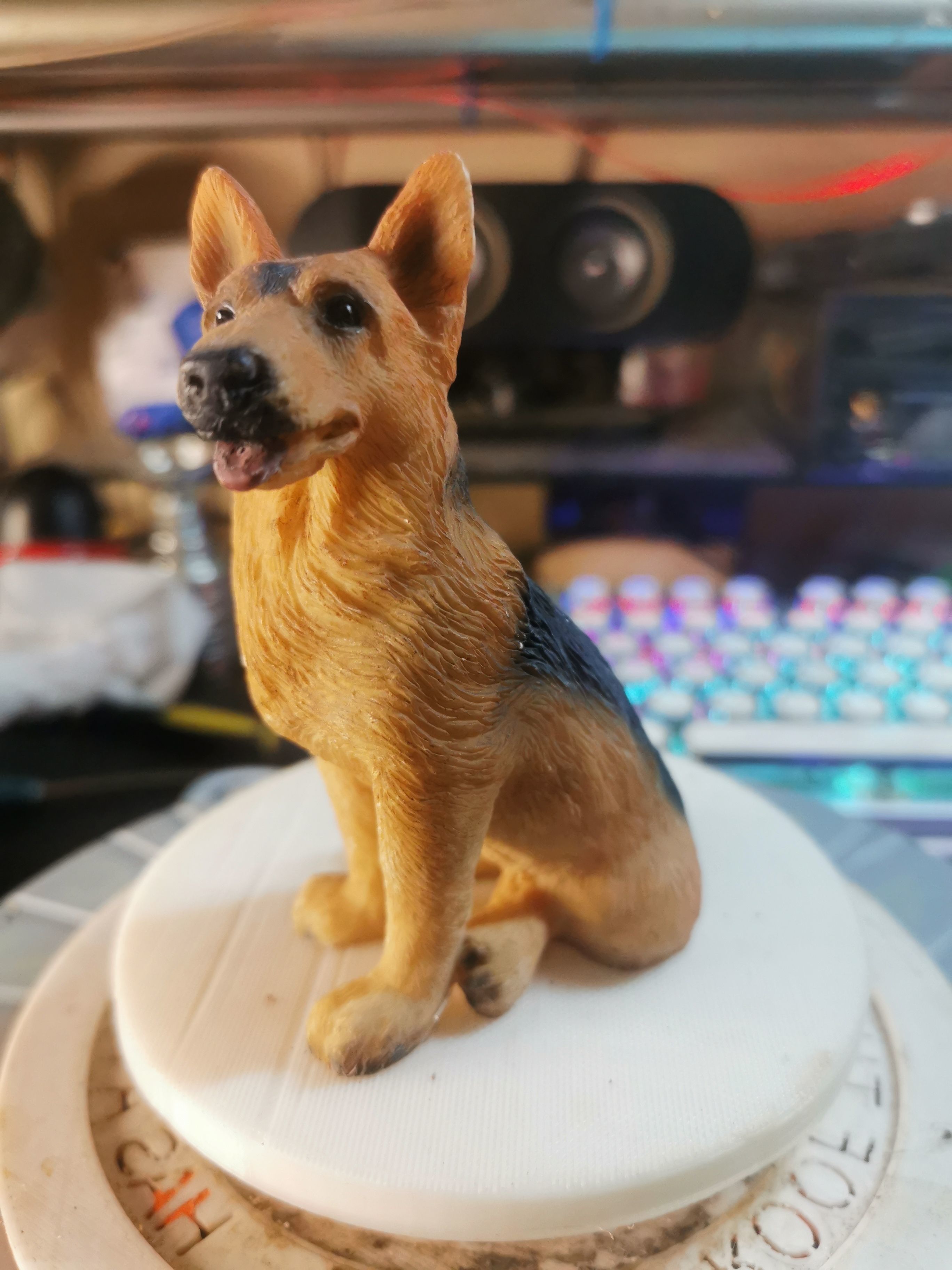 doggy pack 3 3D model 3D printable | CGTrader