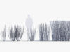 Equisetum hyemale Scouring rush 3D model | CGTrader