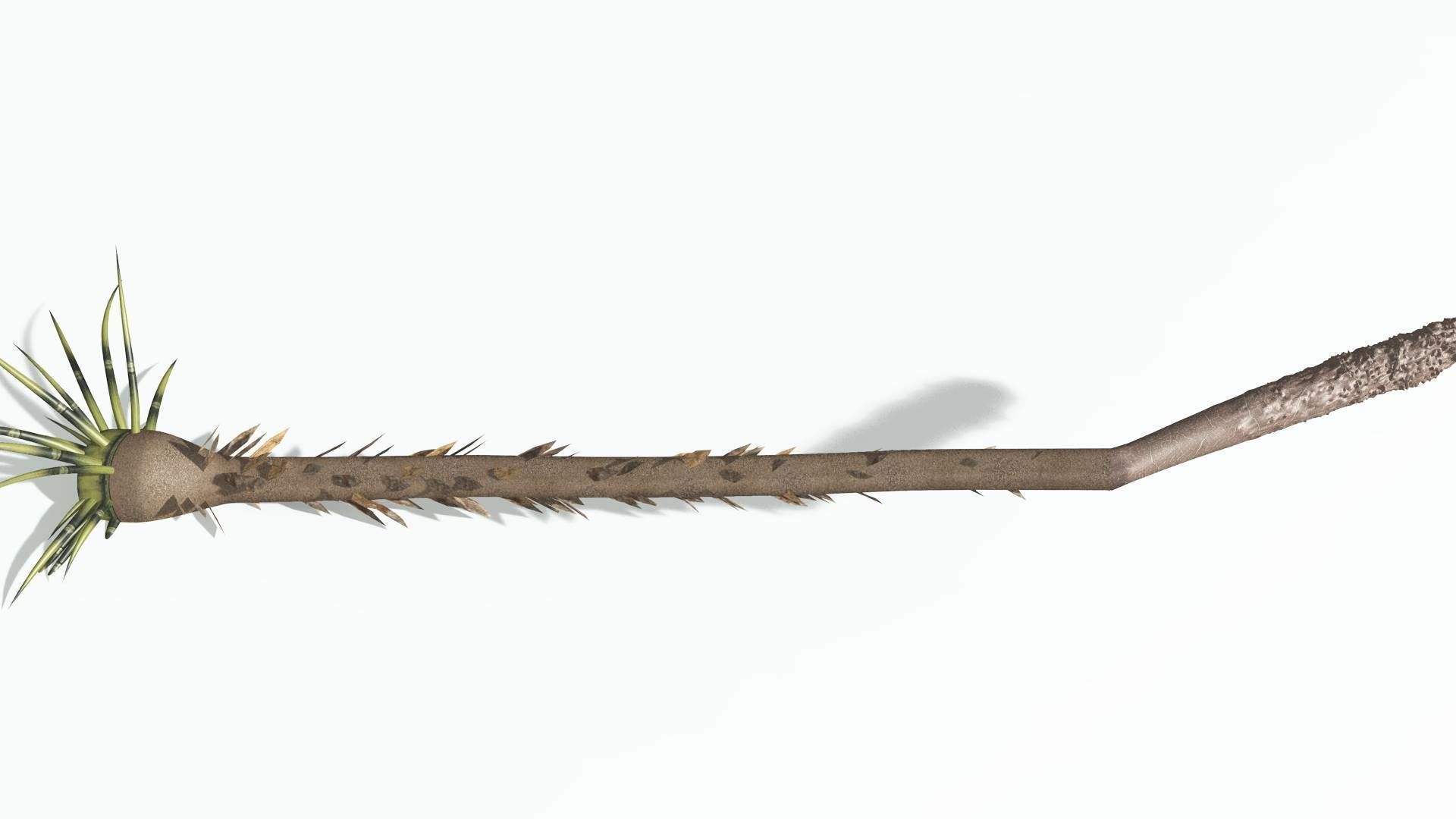 EVERYPlant Chaloneria 1 --16 Models-- 3D model | CGTrader