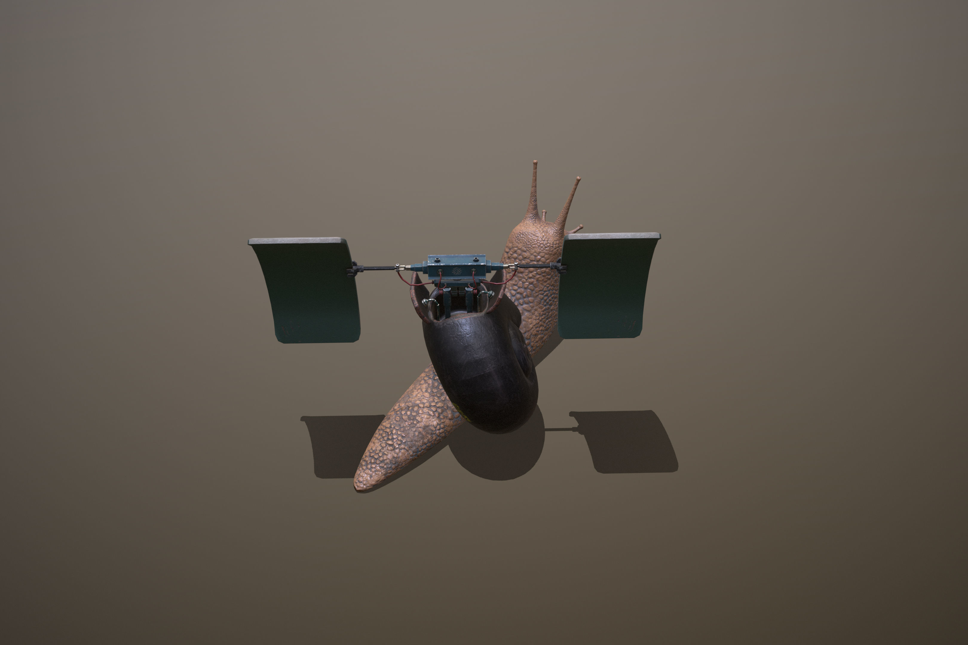 3D model Solar Snail VR / AR / low-poly | CGTrader