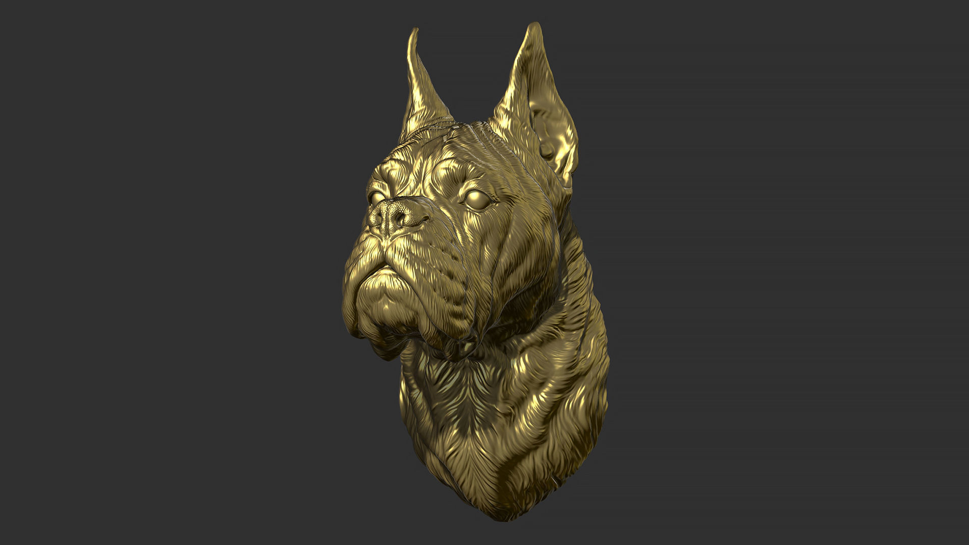 Deutscher Boxer head 3D model 3D printable | CGTrader
