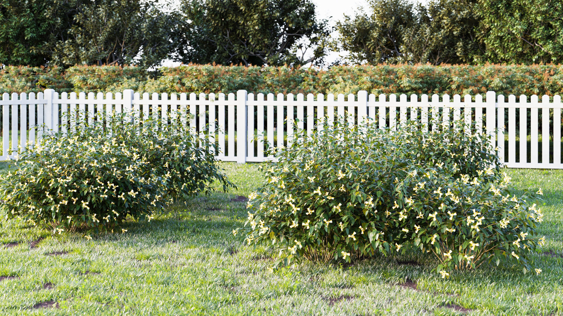 Honeysuckle 3D model | CGTrader