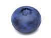 Blueberry Free free VR / AR / low-poly 3D model | CGTrader