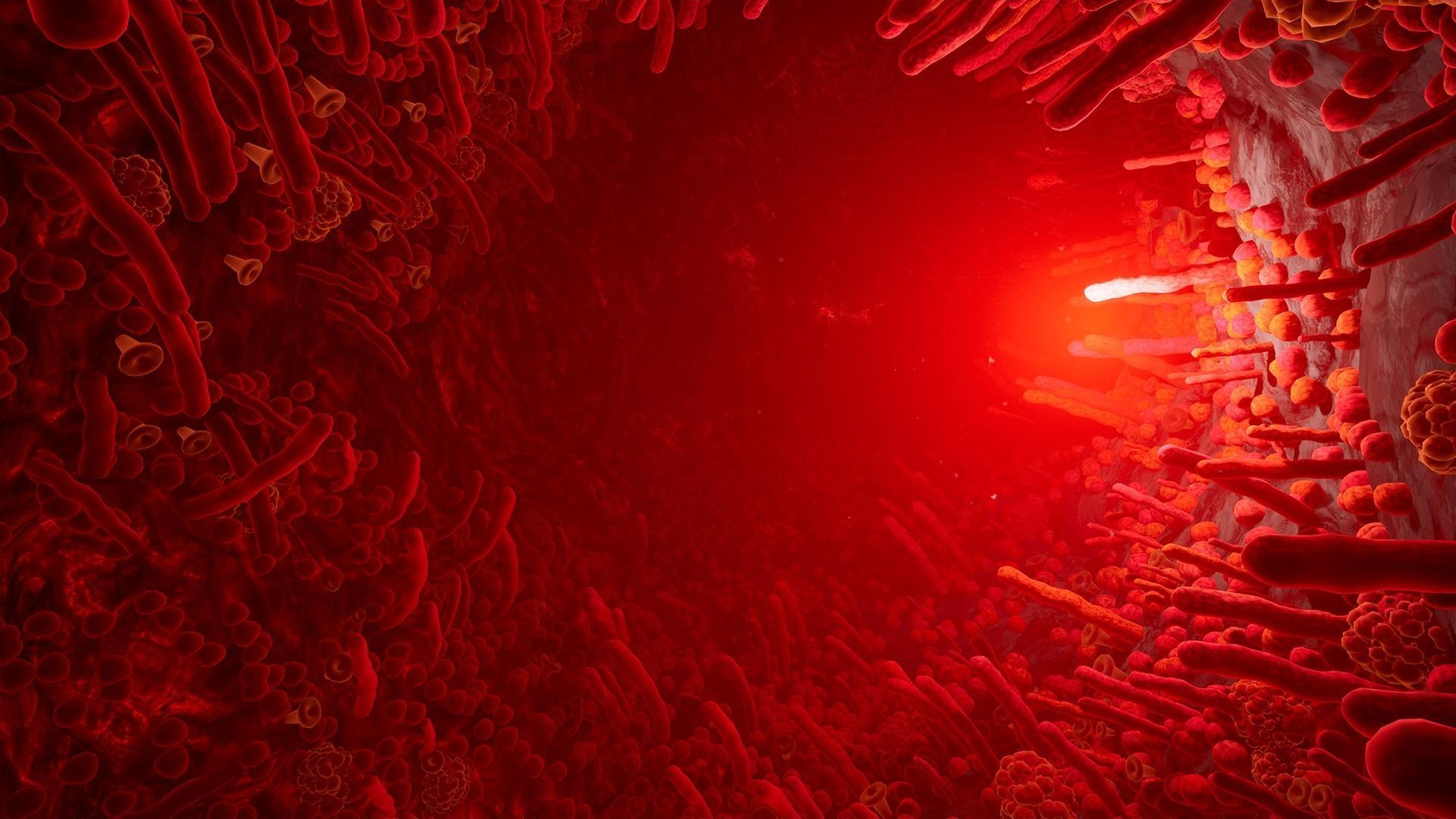 3D model MicroWorld VR / AR / low-poly | CGTrader