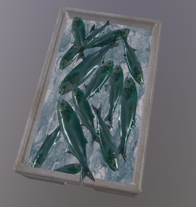 3D model Polystyrene Box with fish VR / AR / low-poly | CGTrader