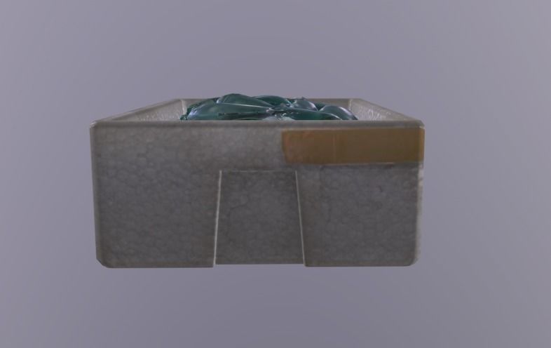 3D model Polystyrene Box with fish VR / AR / low-poly | CGTrader