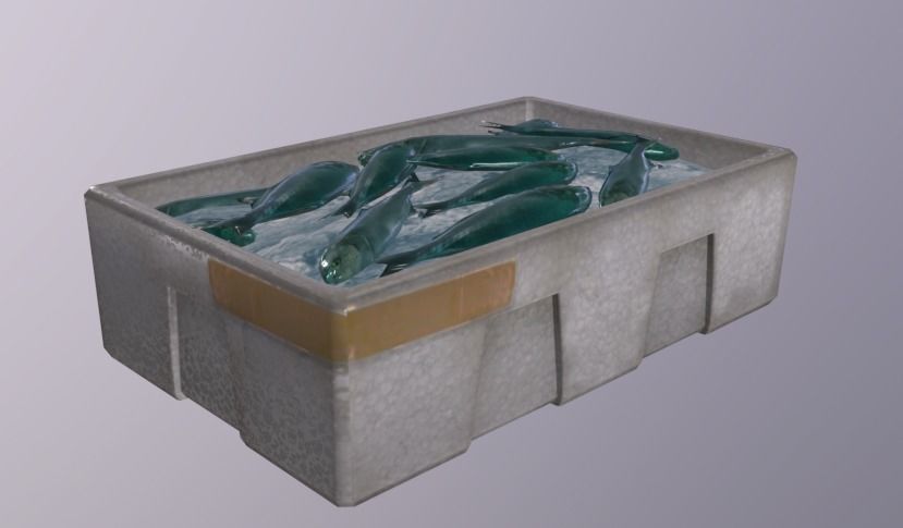 3D model Polystyrene Box with fish VR / AR / low-poly | CGTrader