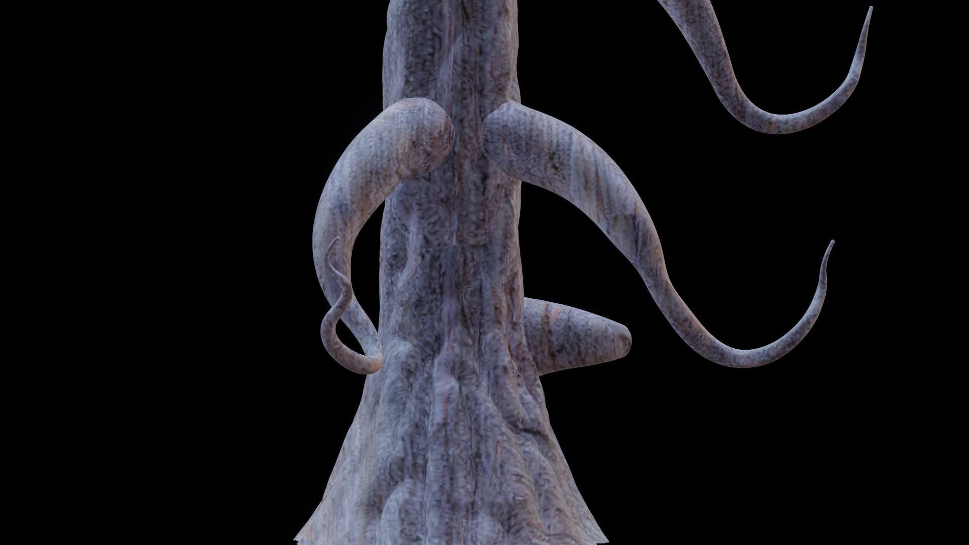 Bald Cypress Swamp Tree free 3D model | CGTrader