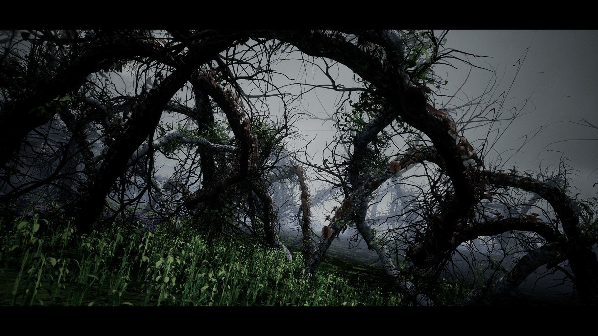 3D model MalformedForest VR / AR / low-poly | CGTrader