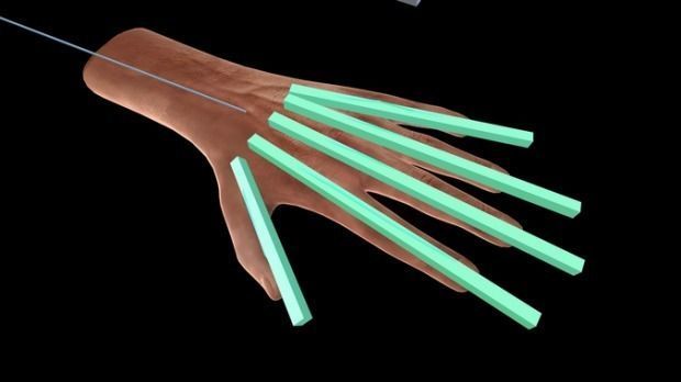 3D model 3D high poly realistic animated hands VR / AR / low-poly ...