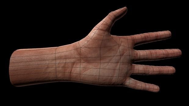 3D model 3D high poly realistic animated hands VR / AR / low-poly ...