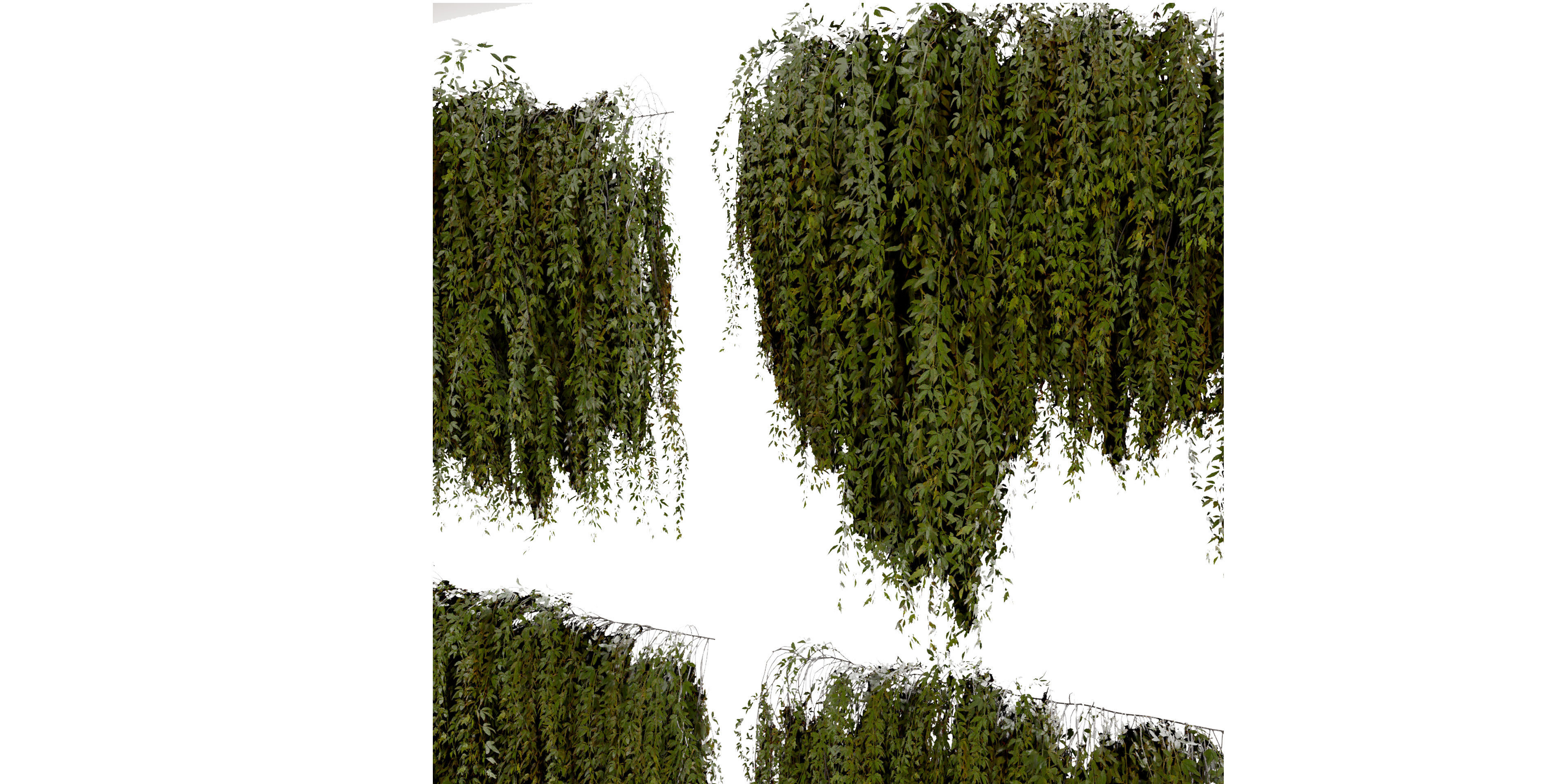 Collection plant vol 486 - outdoor - leaf - ivy - blender model 3D ...